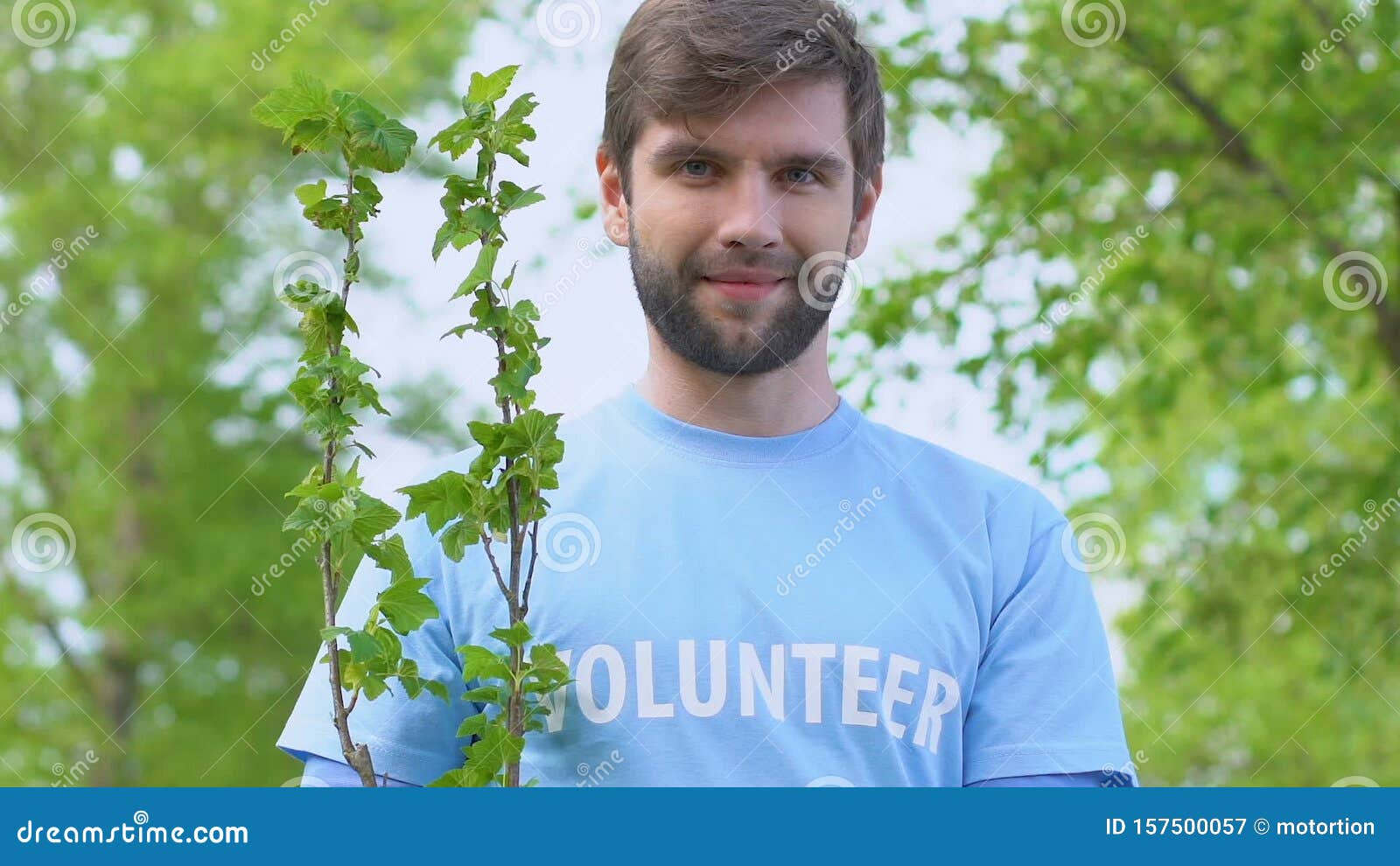 Smiling Man Volunteer Holding Tree Sapling Deforestation Problem ...