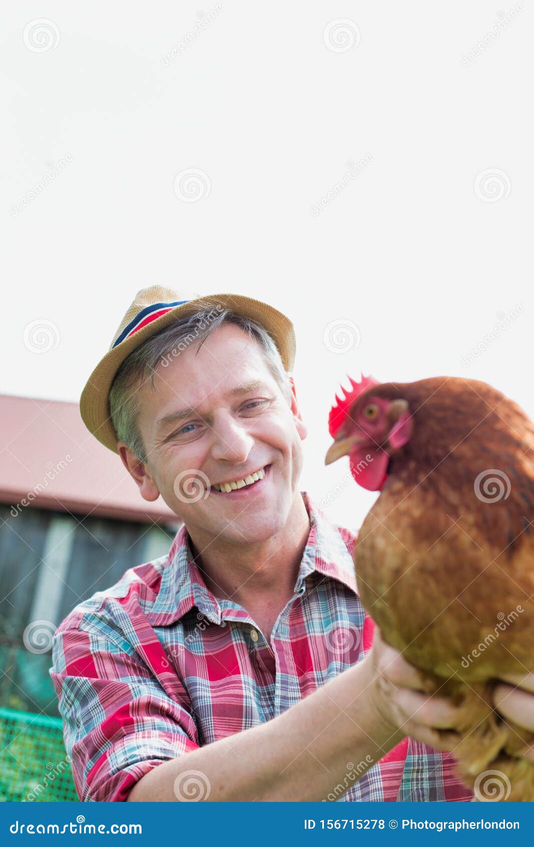 Smiling Mature Farmer Carrying Hen at Barn Stock Photo - Image of ...