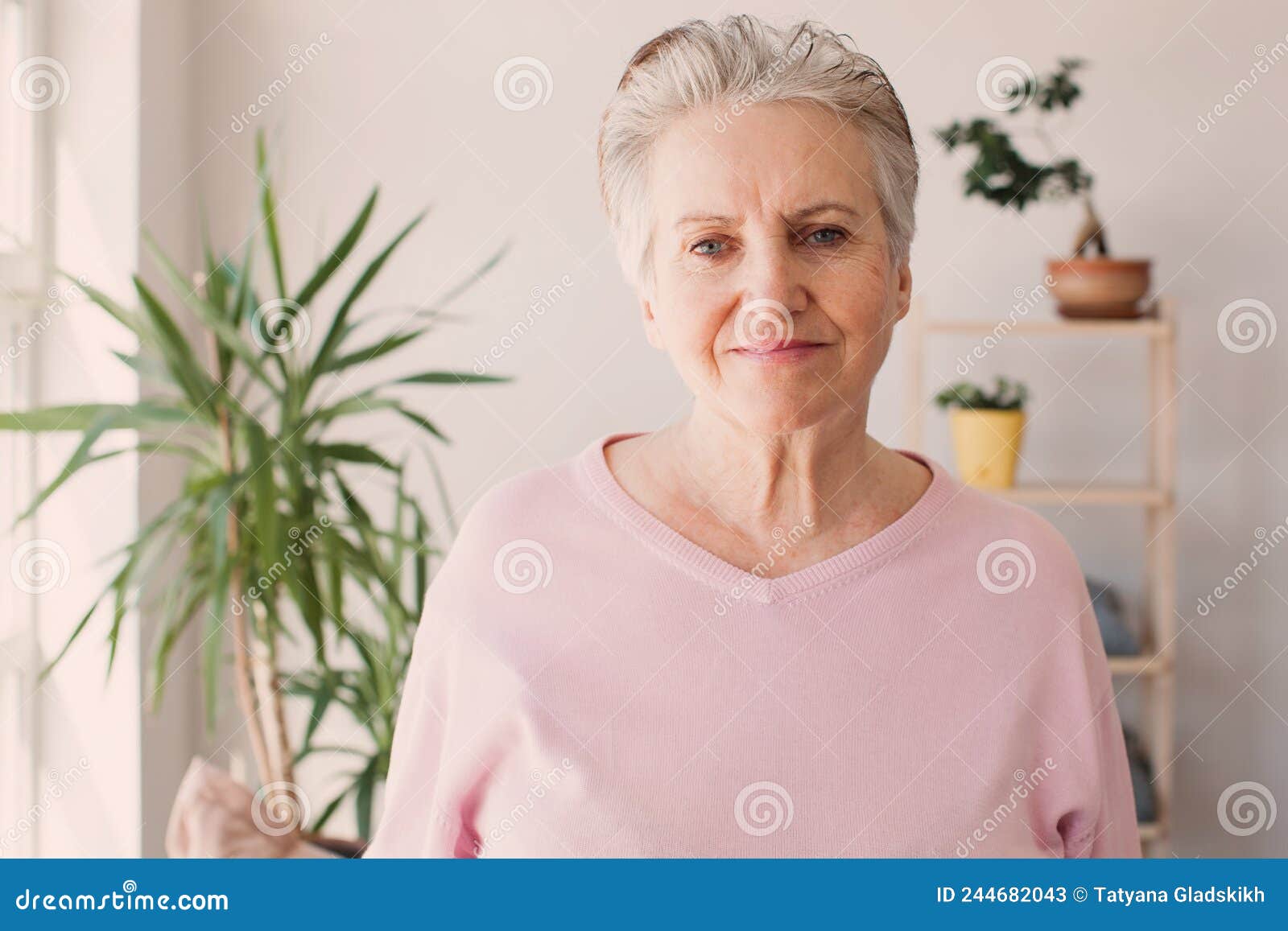 Smiling Middle Aged Mature Grey Haired Woman Looking At Camera Stock