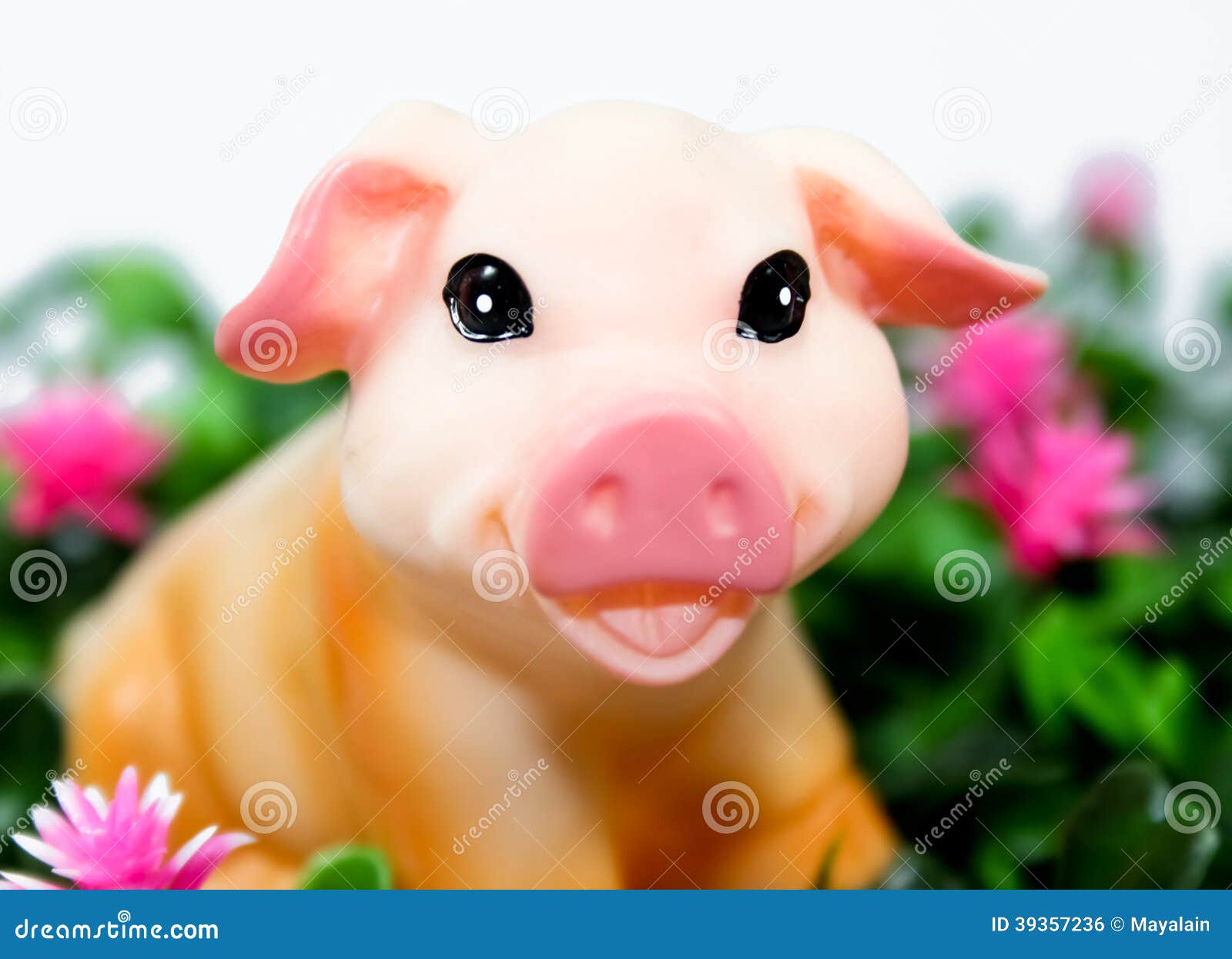 Smiling pig stock photo. Image of pretty, flowers, grass - 39357236