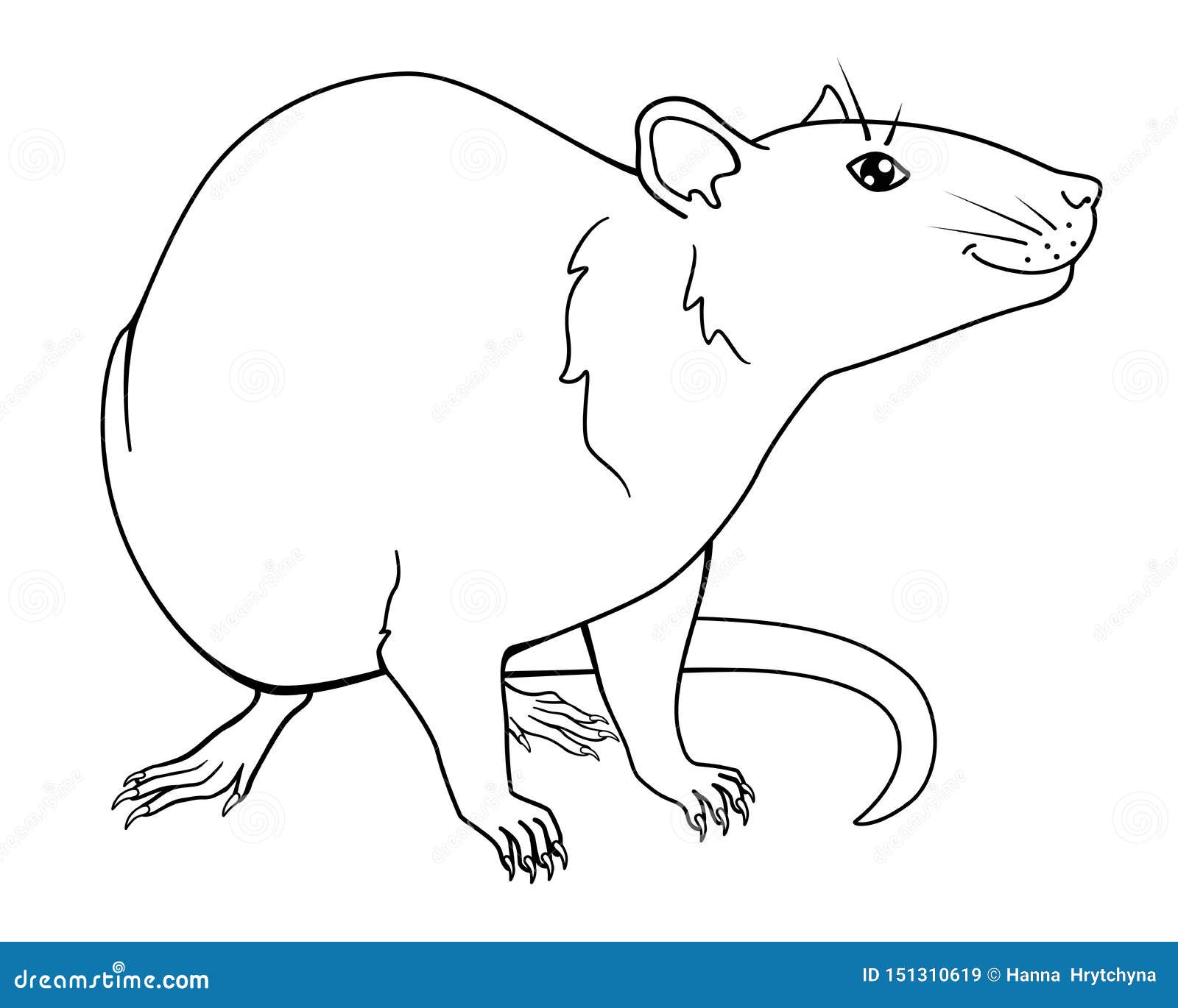 A Smiling Rat is a Symbol of 2020. Chinese New Year of the Rat. Rat ...