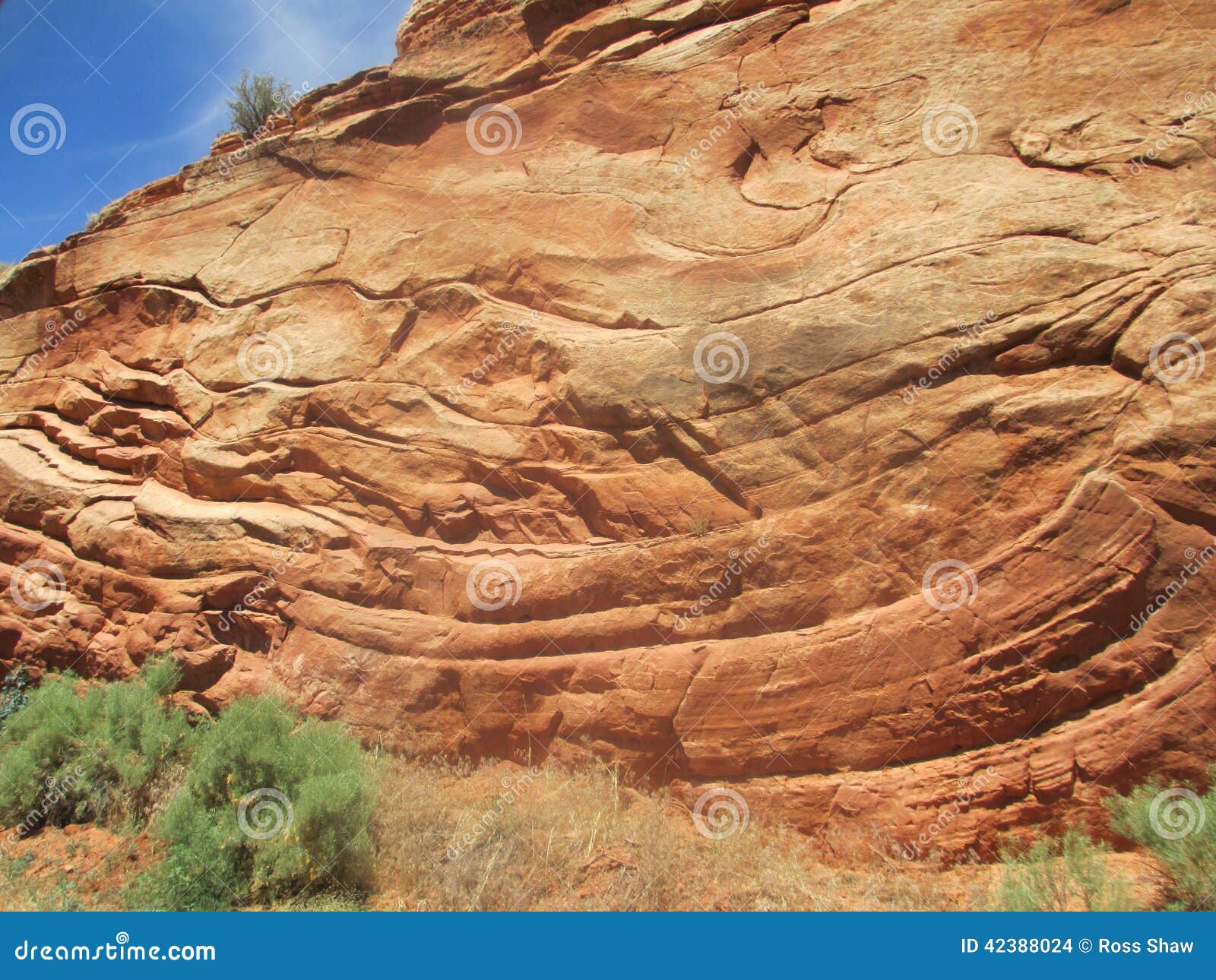 Smiling Rock stock photo. Image of rock, grasses, dreamstime - 42388024