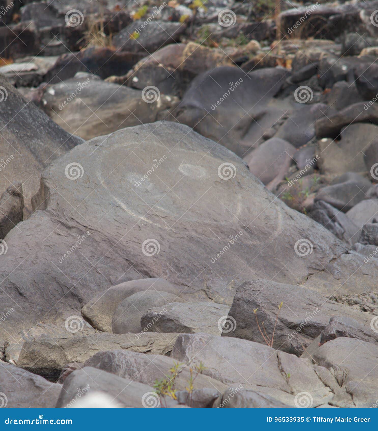 The Smiling Rock stock image. Image of dried, rock, river - 96533935