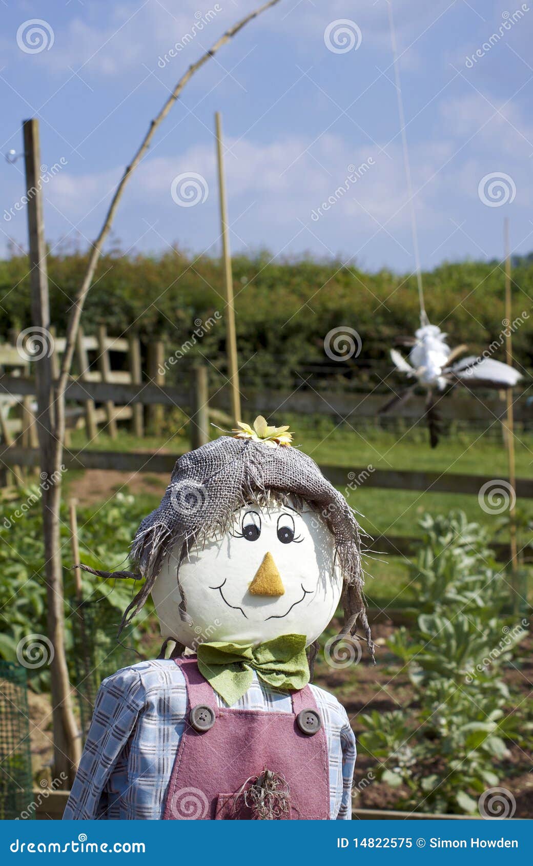 Smiling Scarecrow stock image. Image of dressed, funny - 14822575