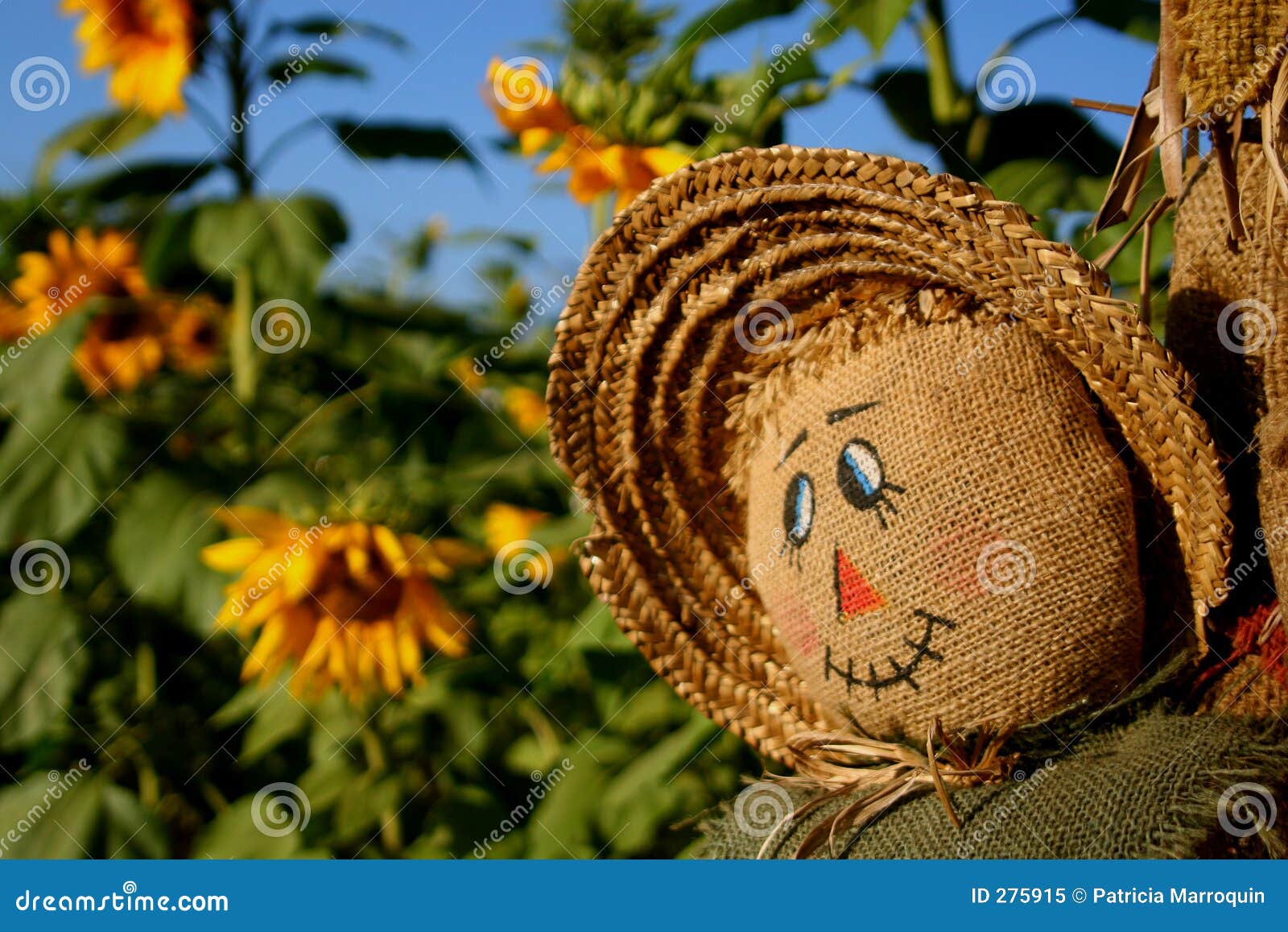 Smiling Scarecrow stock image. Image of happy, crow, fall - 275915