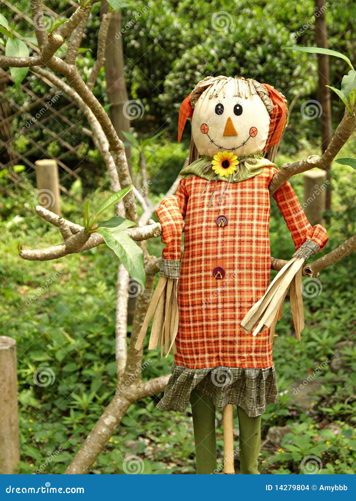 Smiling Scarecrow Standing in Green Field Stock Photo - Image of farm ...