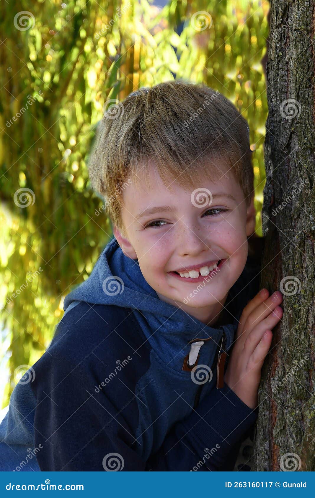 Smiling Schoolboy Behind a Tree Stock Image - Image of happiness, kind ...