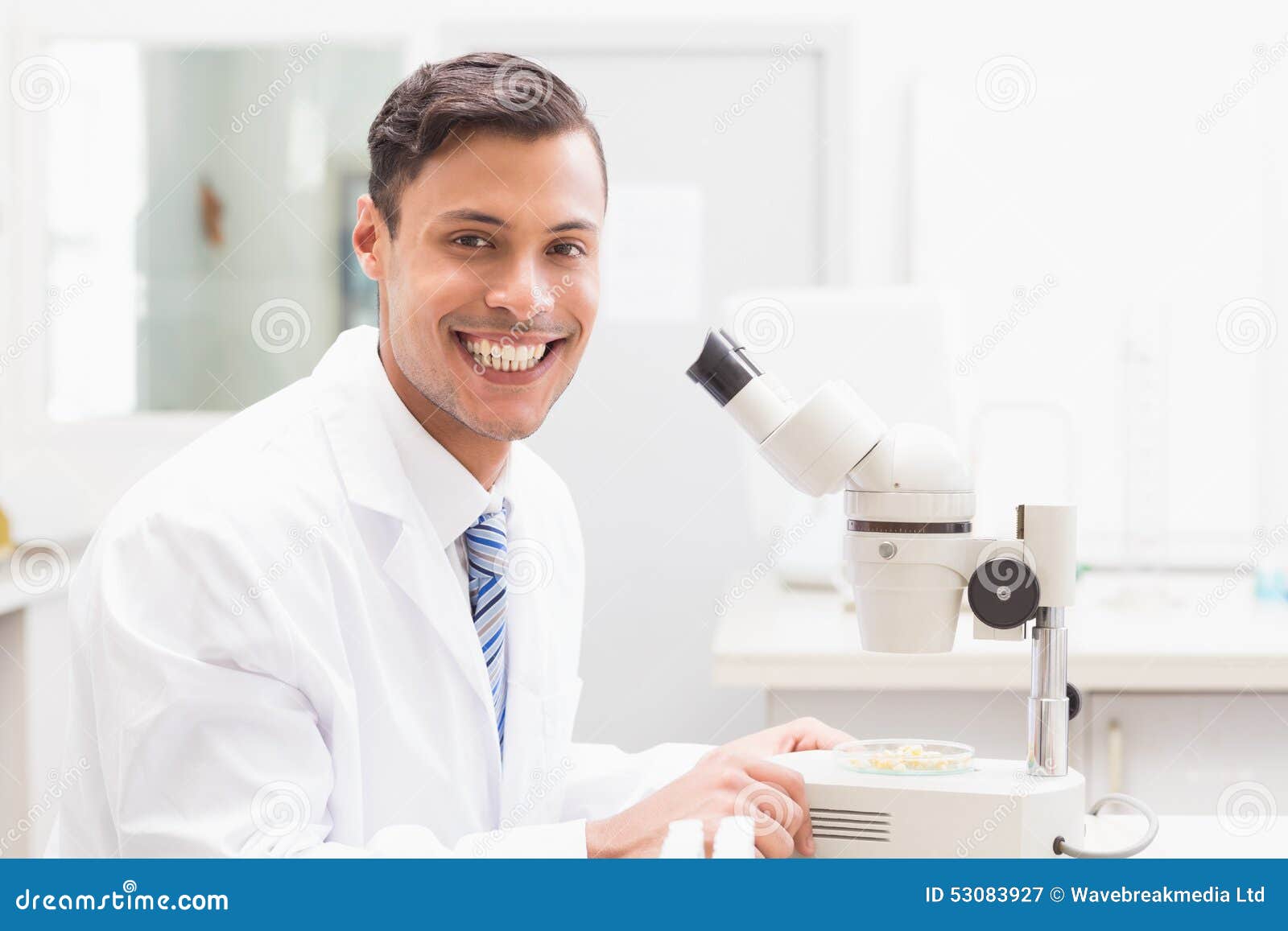 Smiling Scientist Observing Petri Dish with Microscope Stock Image ...