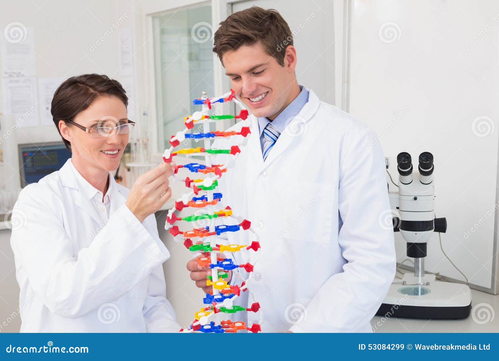 Smiling Scientists Working Attentively with Dna Model Stock Image ...