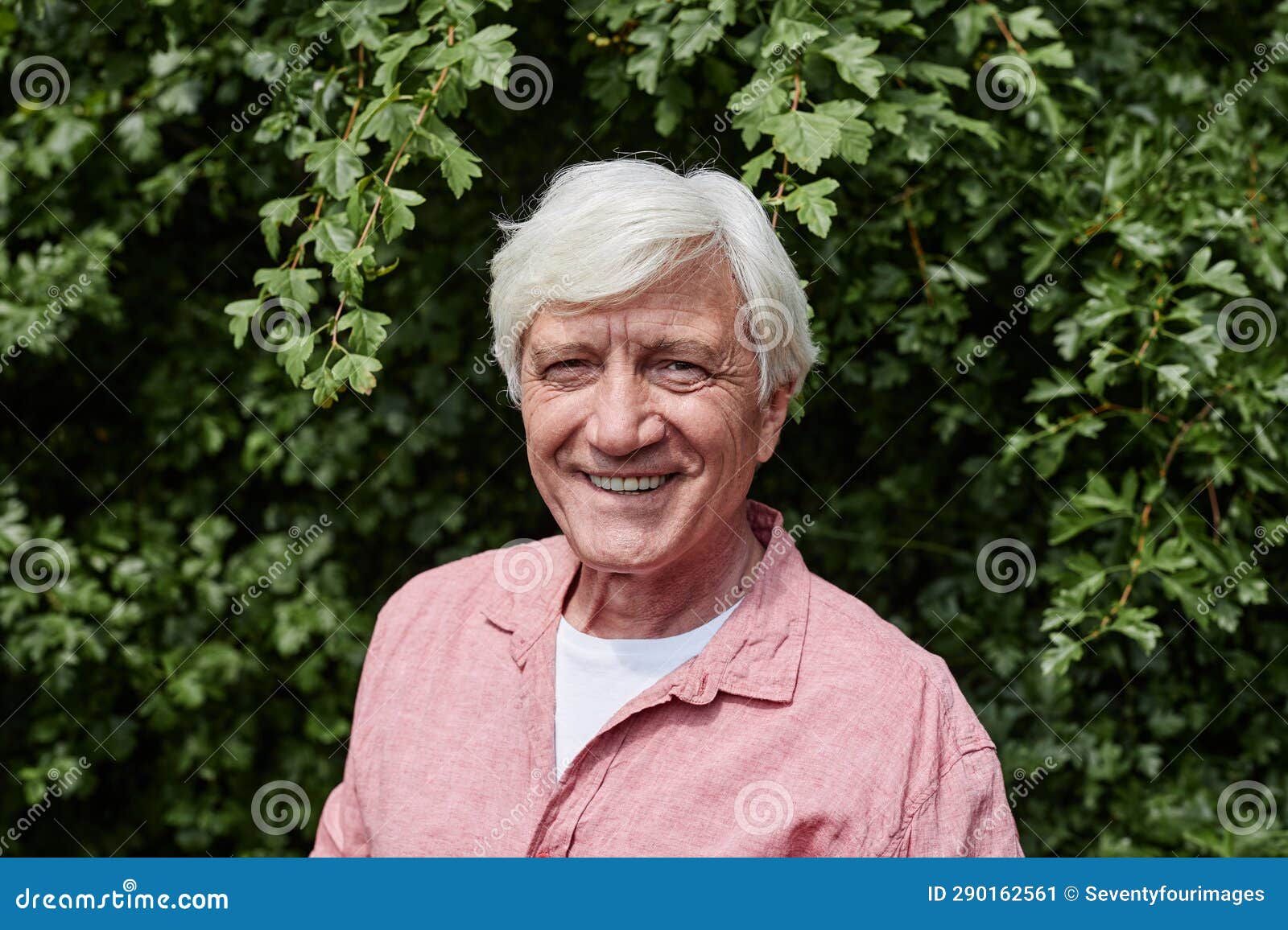 Smiling Senior Man Looking at Camera Against Greenery Outdoors Stock ...