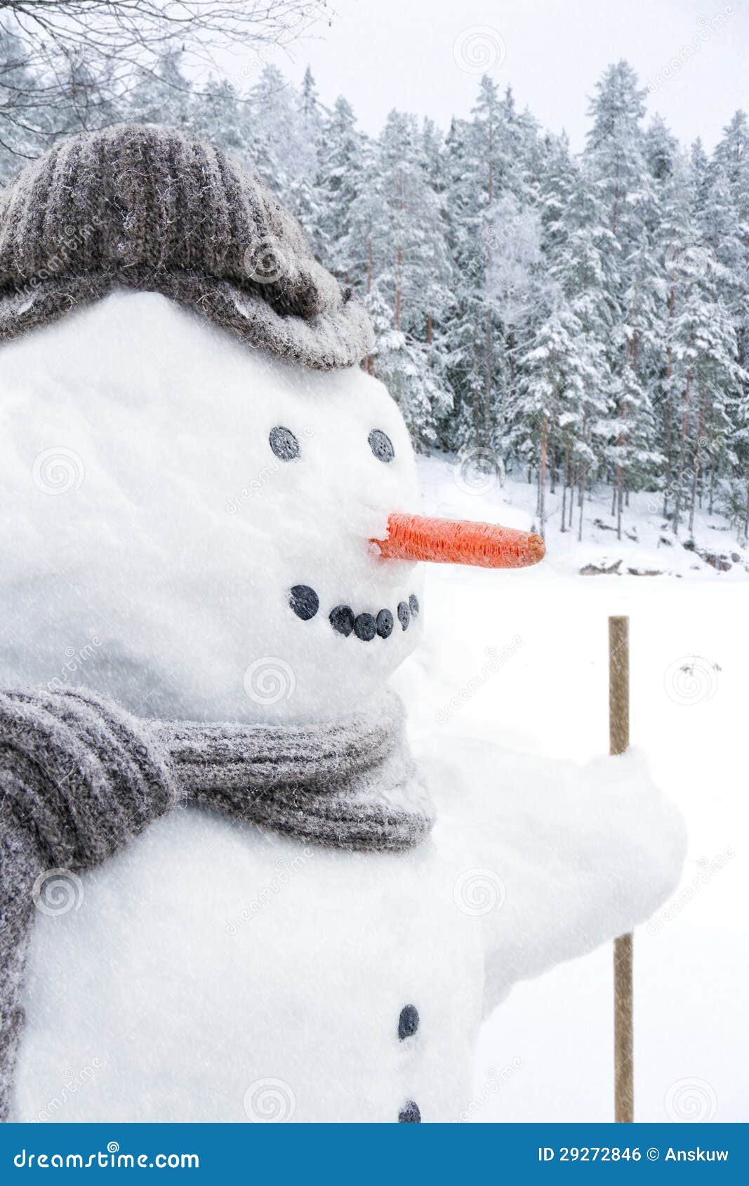 Smiling Snowman with Hat, Scarf and Carrot Nose Stock Photo - Image of ...