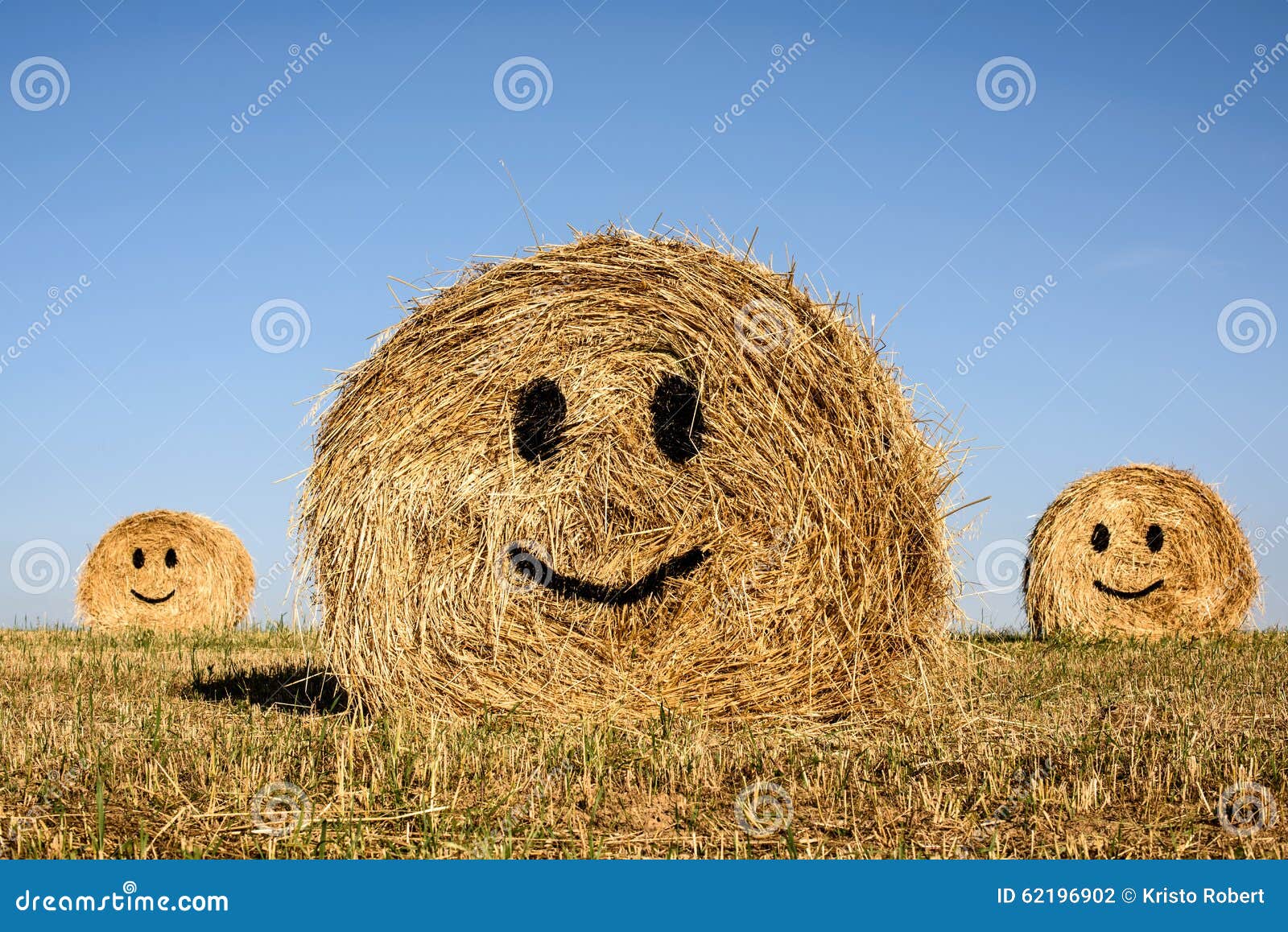 Smiling Boy In A Straw Hat With A Luggage Stock Image | CartoonDealer ...