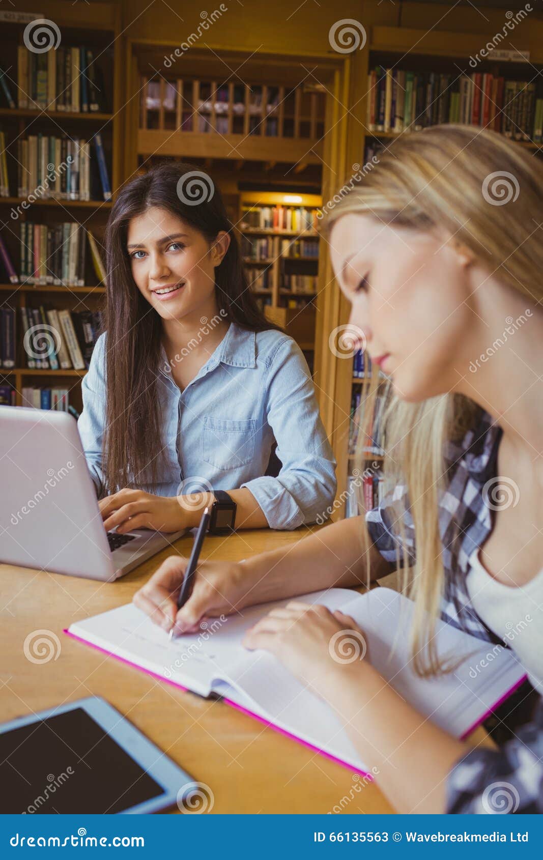 Smiling Students Using Laptop Stock Image - Image of girl, frowning ...