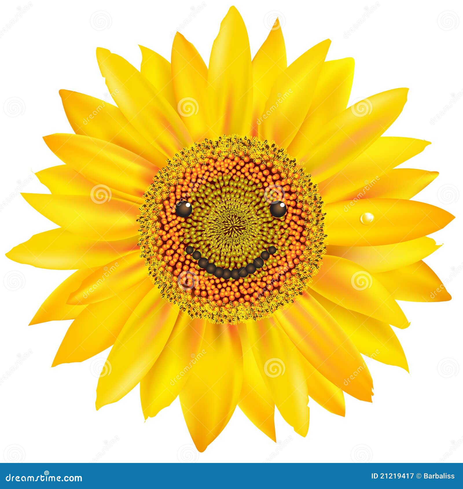 Smiling Sunflower stock vector. Illustration of garden - 21219417
