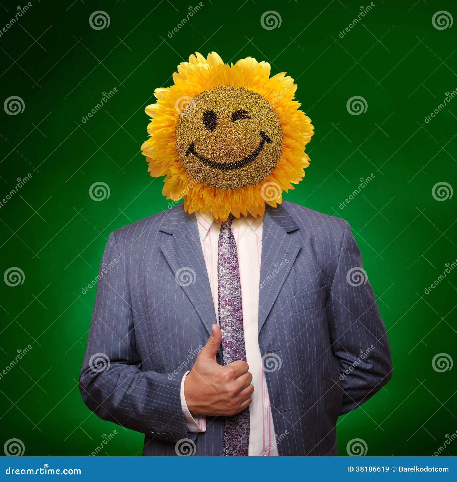 Smiling sunflower head man stock image. Image of hold - 38186619
