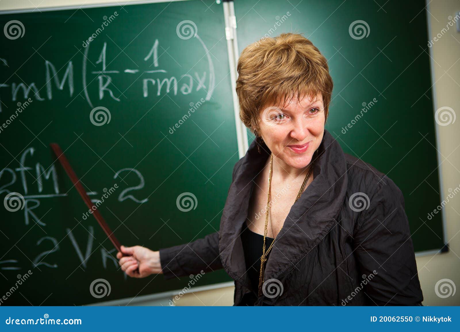 Smiling Teacher with Pointer Stock Photo - Image of idea, green: 20062550