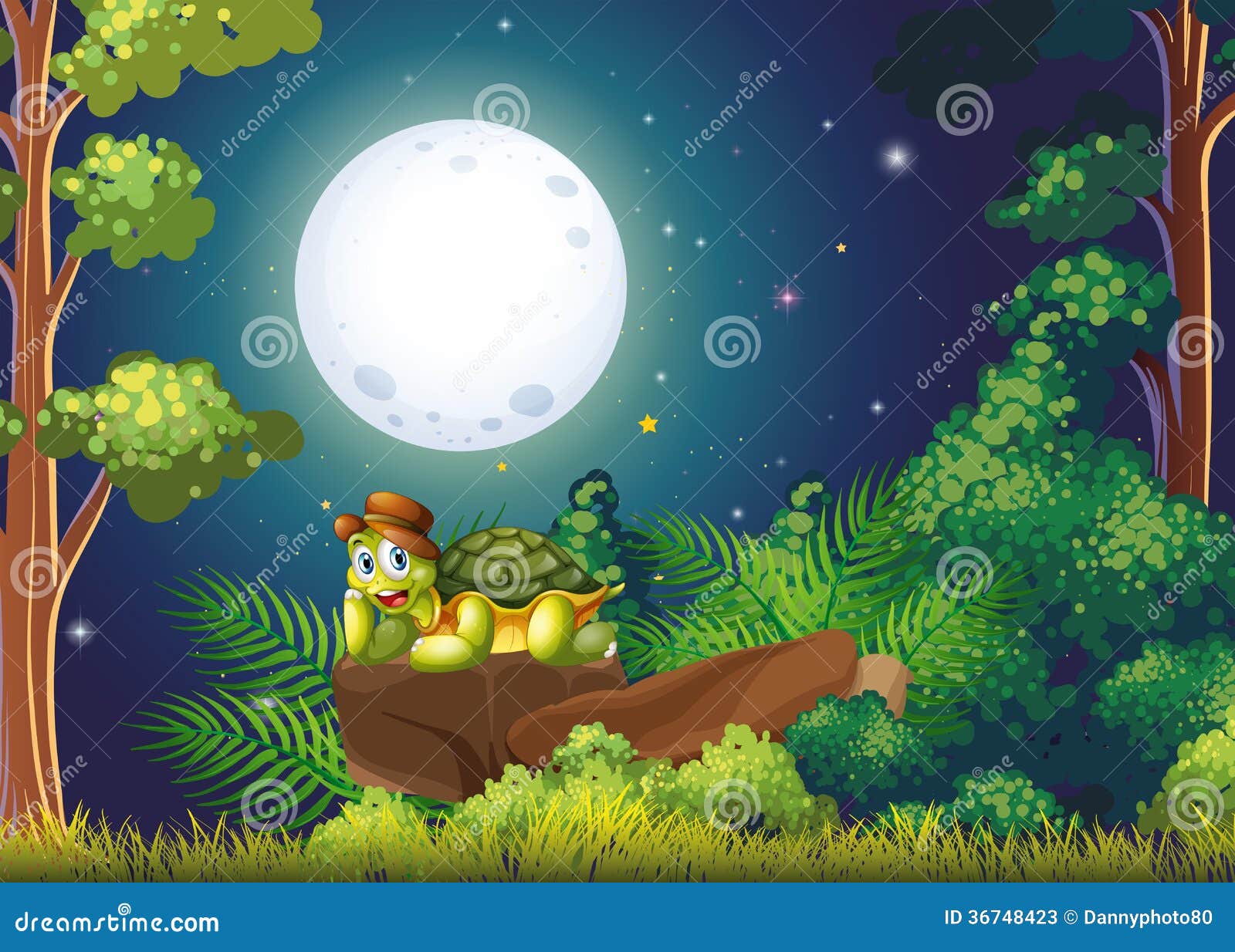 A Smiling Turtle Above the Rock in the Middle of the Forest Stock ...