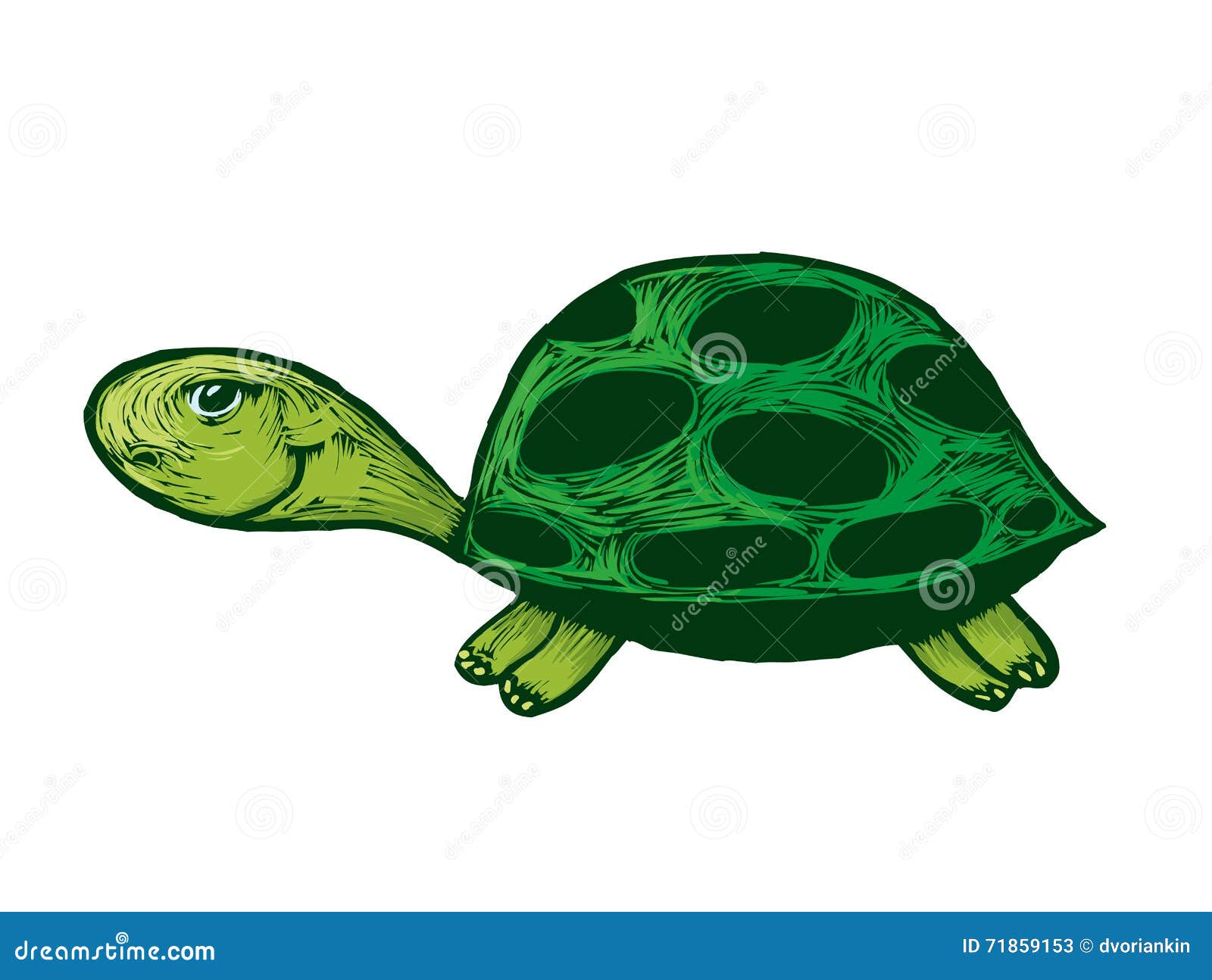 Smiling Turtle Animal Head Wearing A Straw Hat. Carton Emoticon. Doodle ...