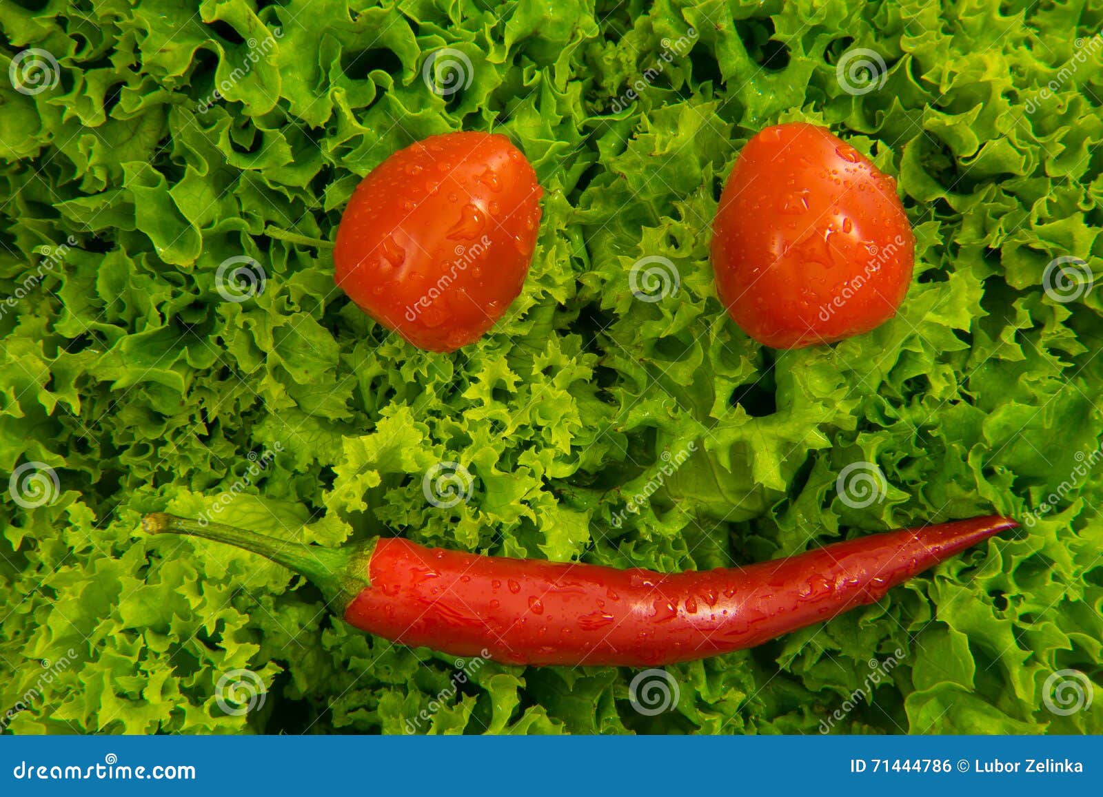 Smiling vegetables stock photo. Image of green, paprika - 71444786
