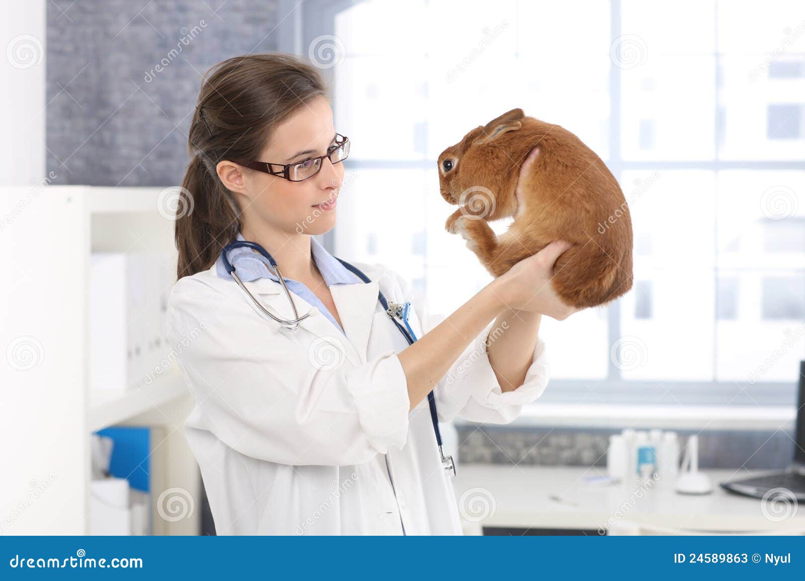 Smiling Vet Examining Rabbit Stock Image - Image of cute, adult: 24589863