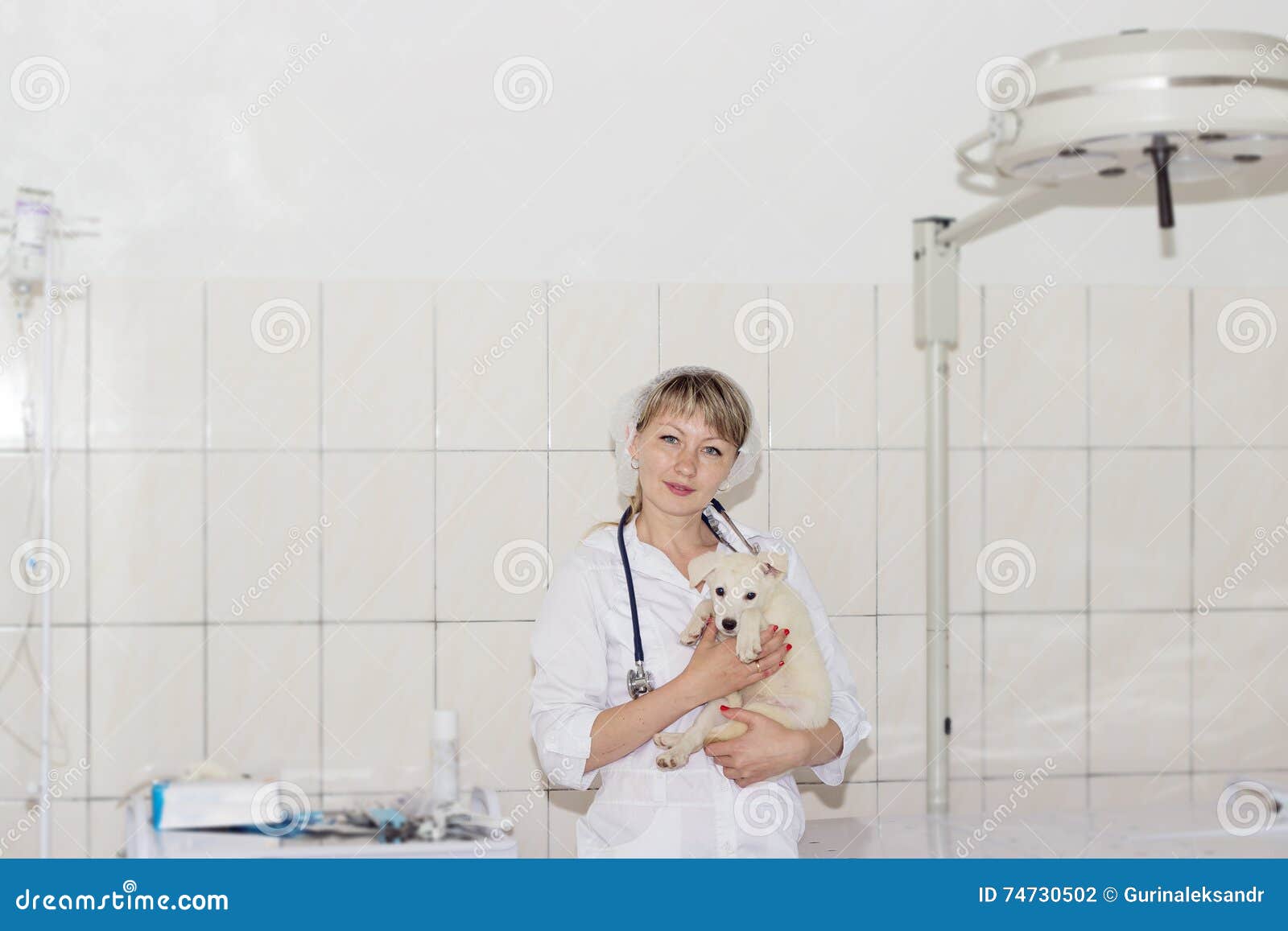 Smiling vet and puppy stock photo. Image of doctor, camera - 74730502