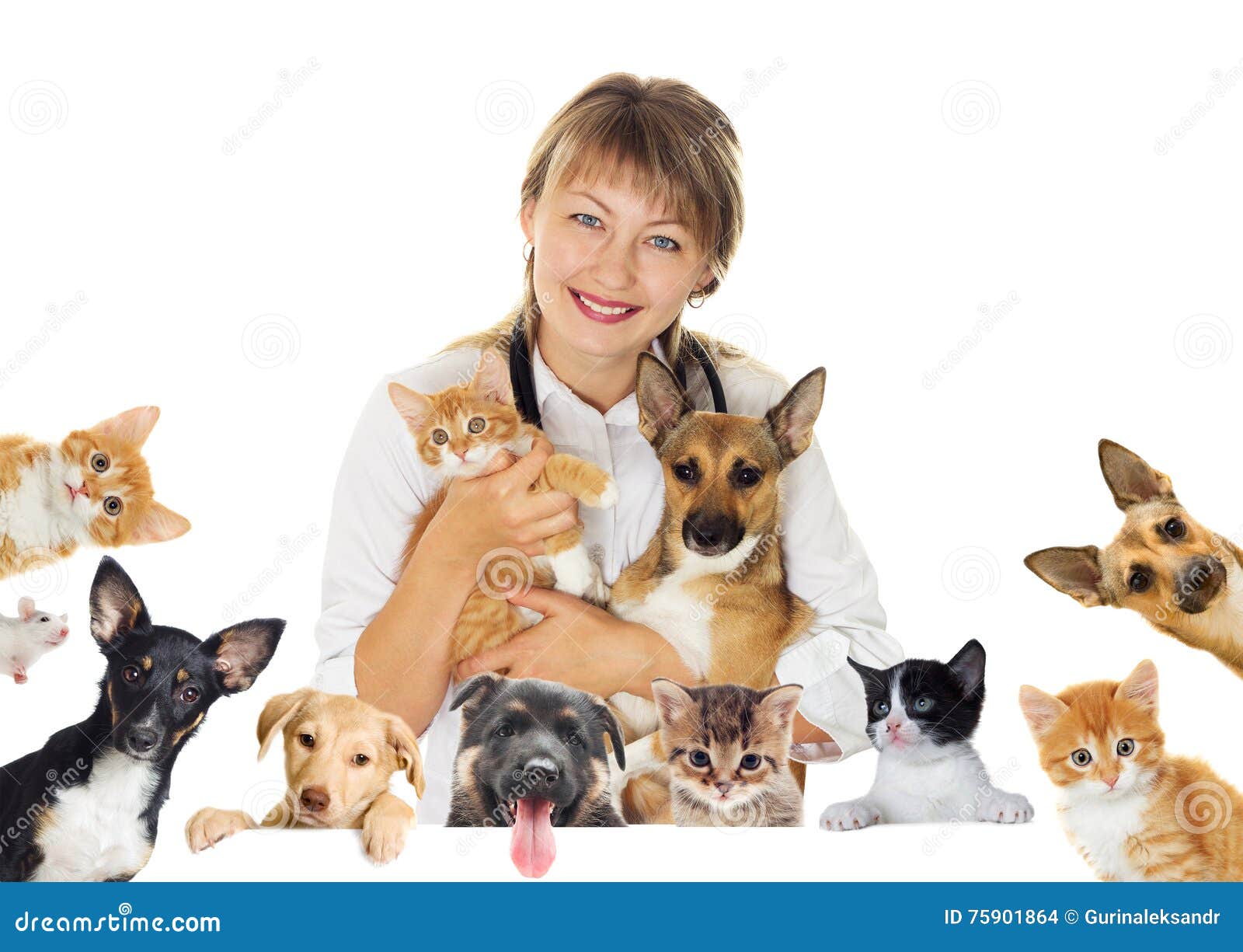 Smiling vet stock photo. Image of holding, medical, hugging - 75901864