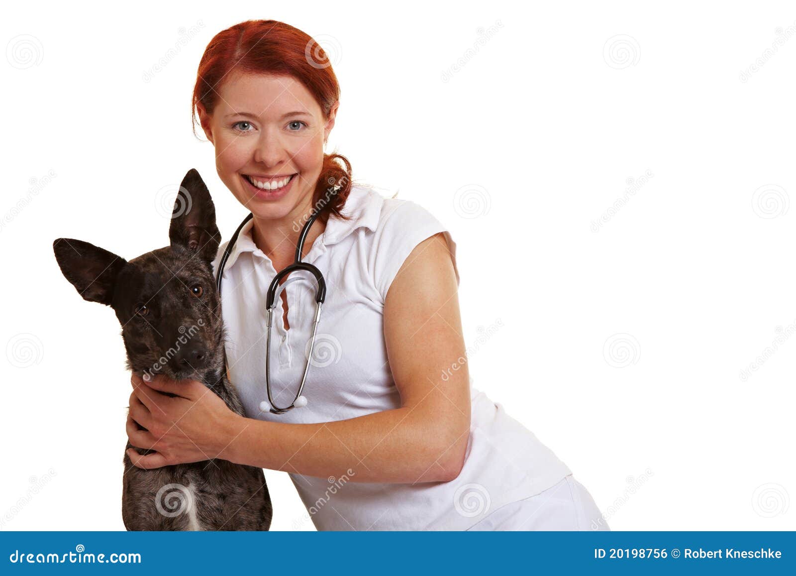 Smiling Veterinarian with Dog Stock Photo - Image of animal, copy: 20198756