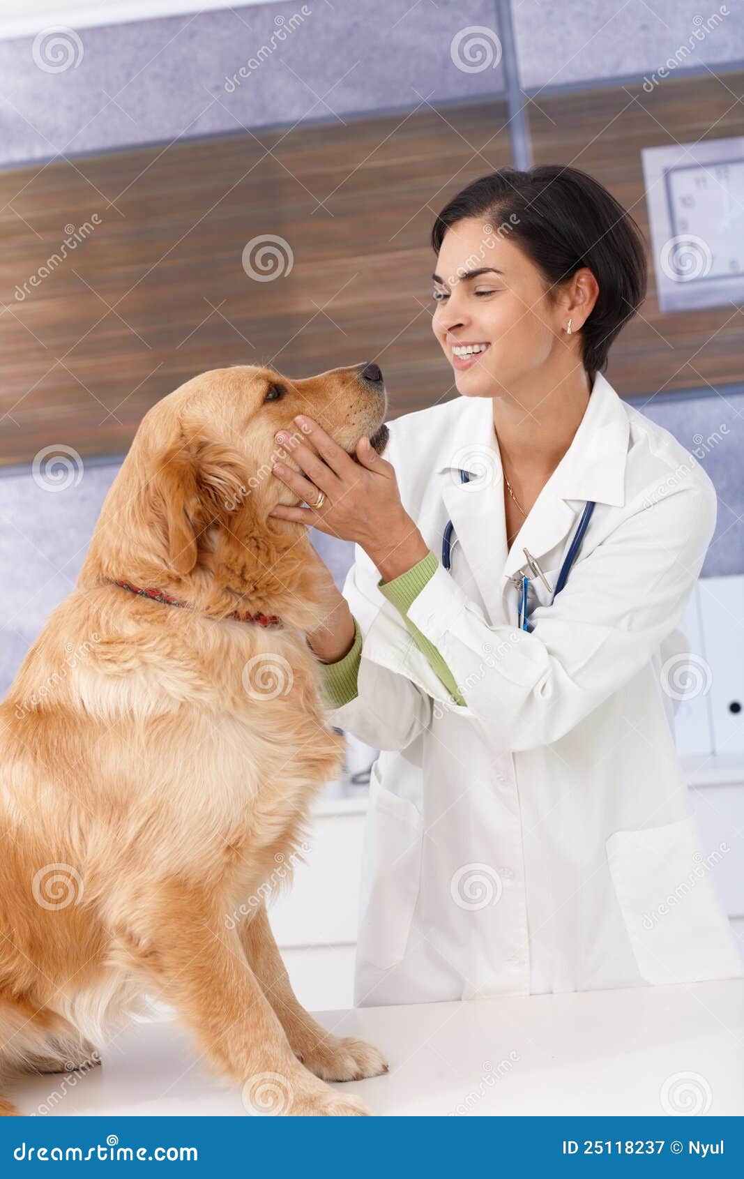 Smiling Veterinary with Dog Stock Image - Image of clinic, check: 25118237