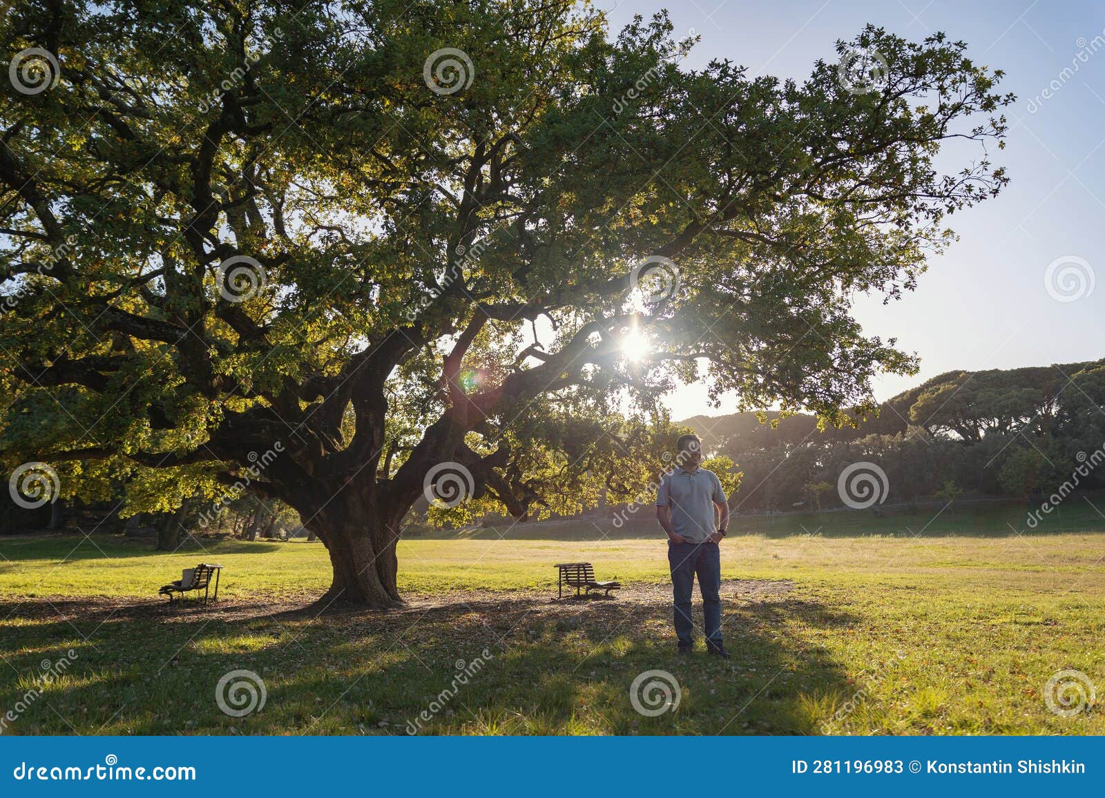 Smiling White Man Standing Under Big Tree in Day Lighting Stock Image ...