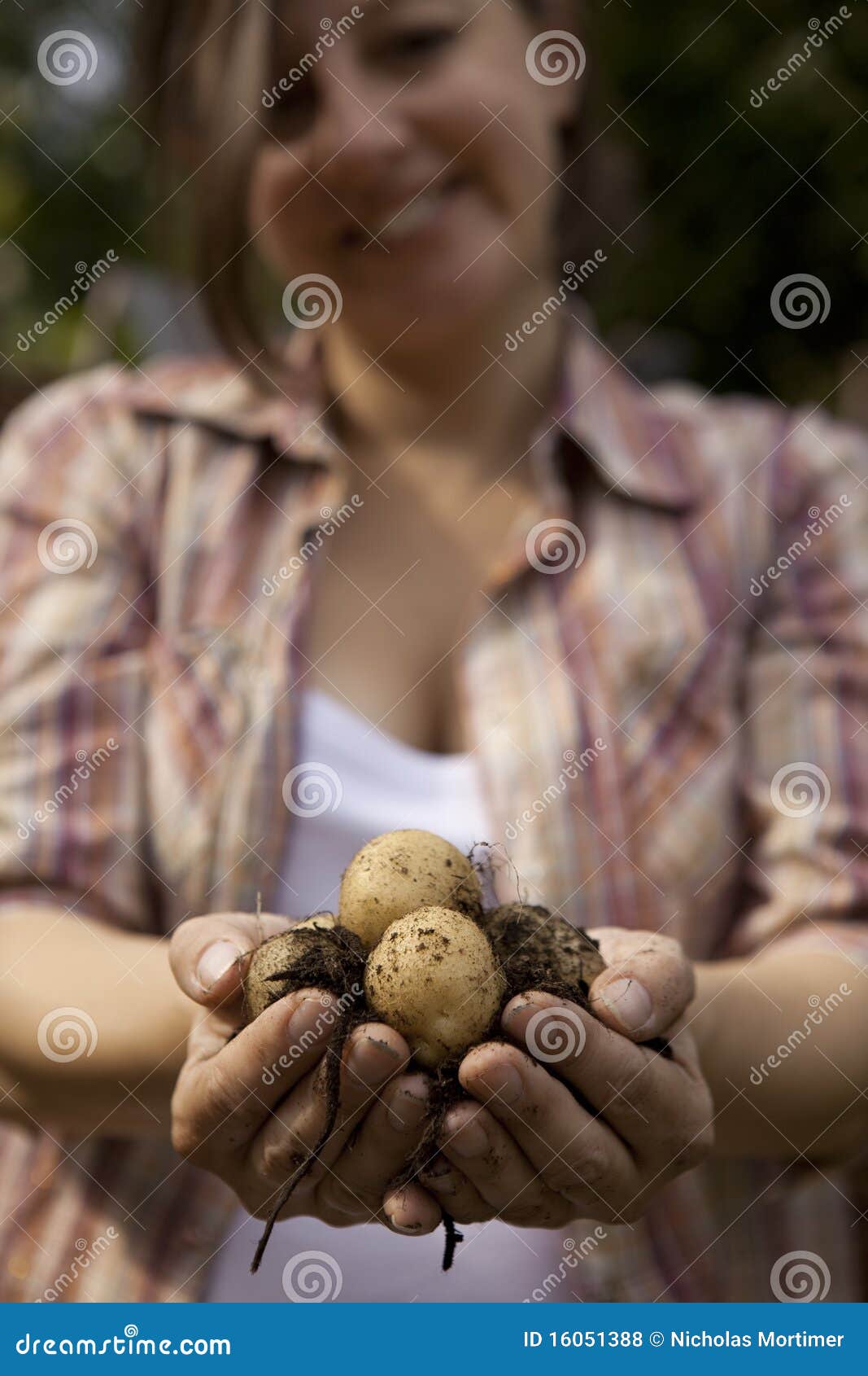A Smiling Woman Holding Handful of Potatoes Stock Photo - Image of ...