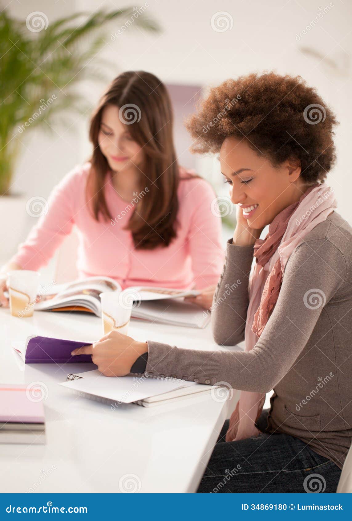 Smiling Women Studying Together Stock Photo - Image of smiling, smile ...