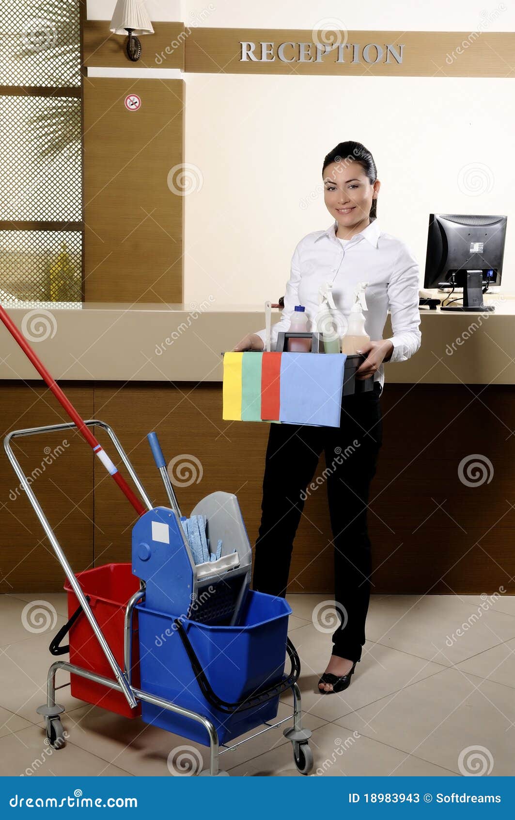 Smiling Worker Cleaning the Hotel Stock Image - Image of cleaning ...