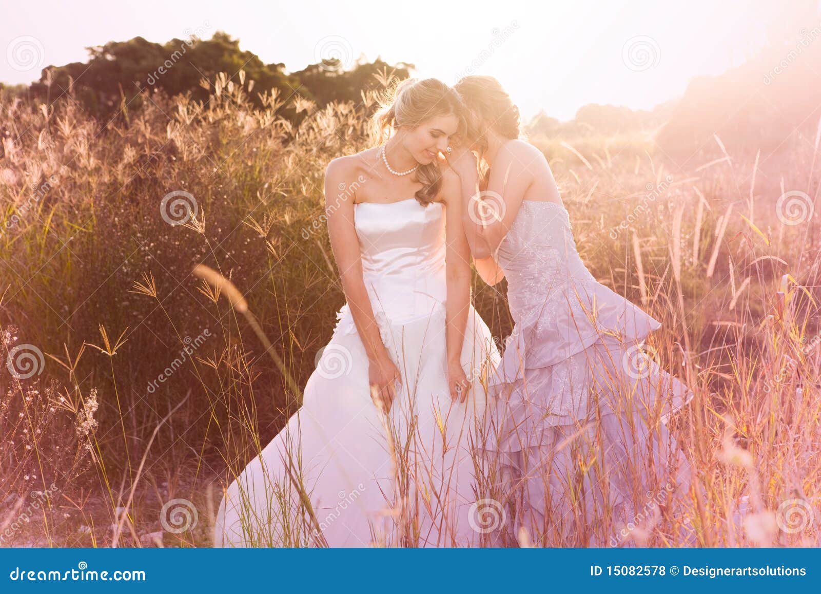 Smiling Young Bride Listening To a Secret Stock Photo - Image of ...