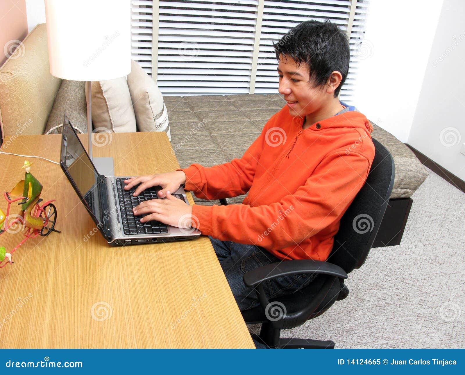 A Smiling Young at Her Computer. Stock Image - Image of mixed ...