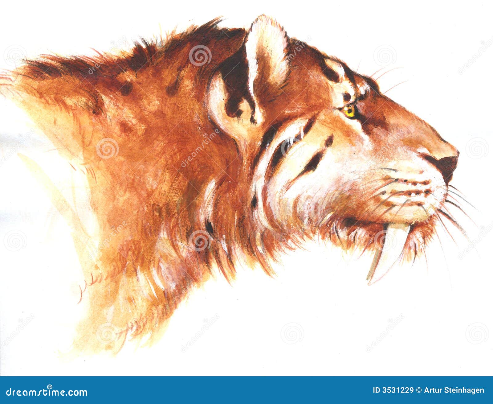 Smilodon Drawing