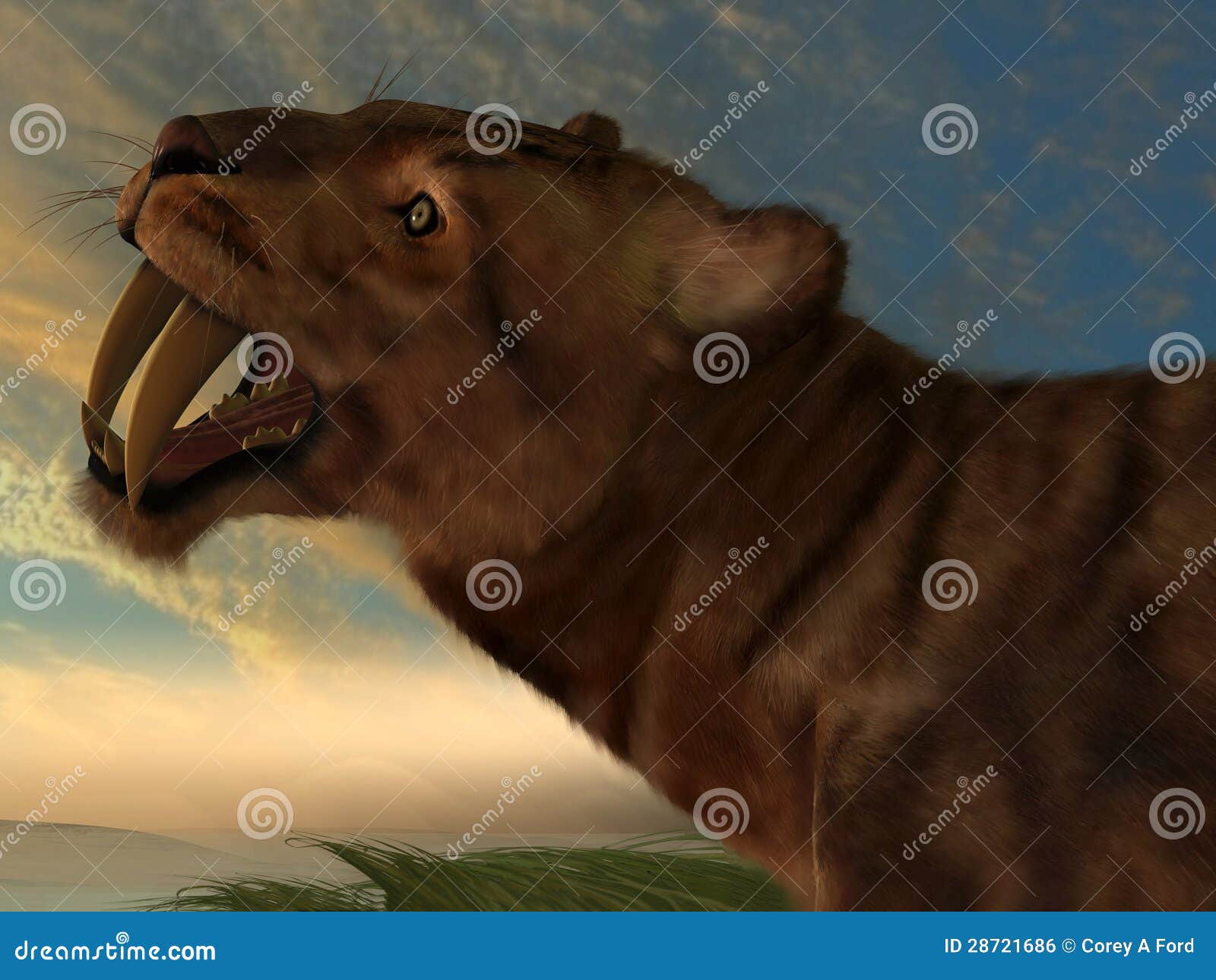 Smilodon Stock Photography | CartoonDealer.com #36890120