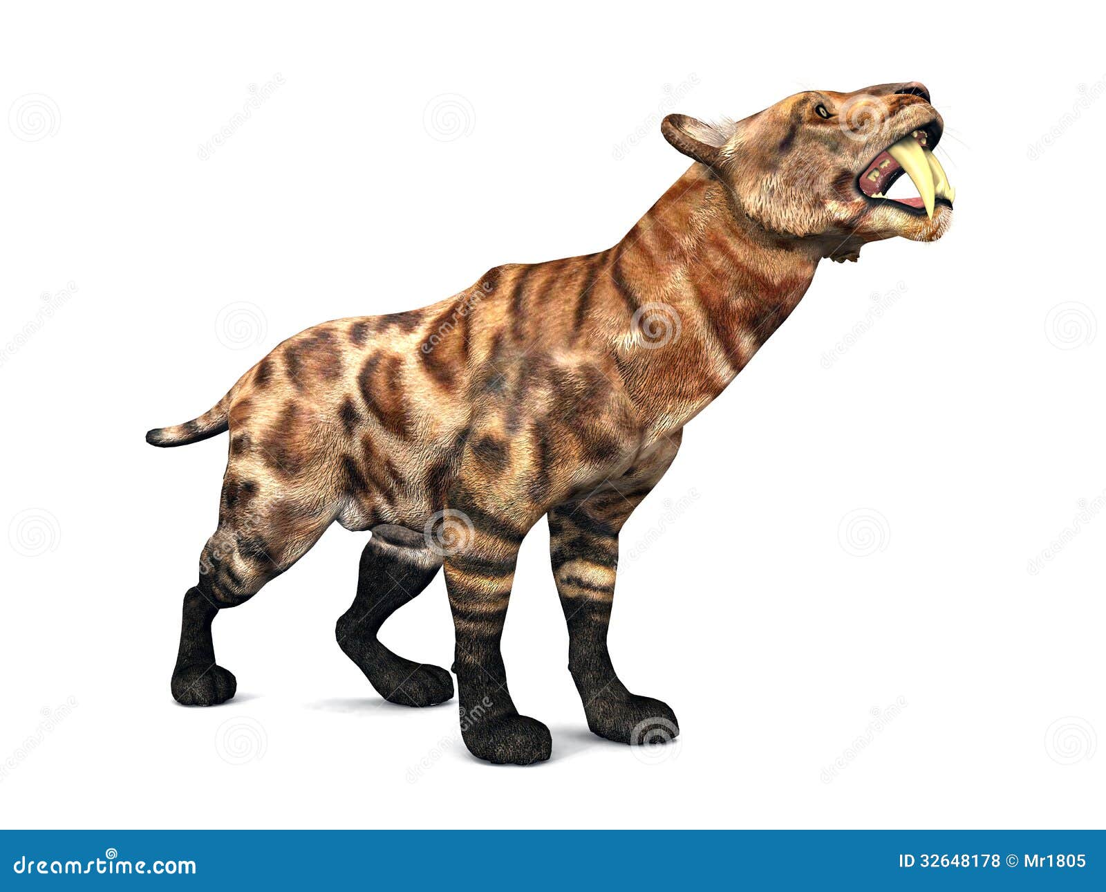Smilodon stock illustration. Illustration of wilderness - 32648178
