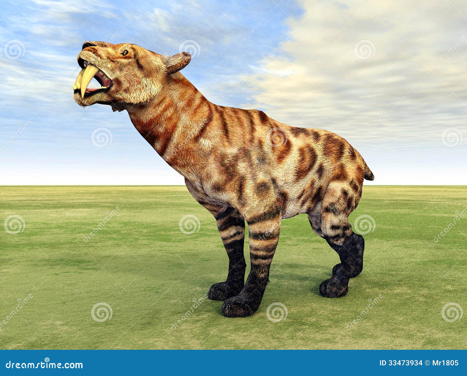 Smilodon stock illustration. Illustration of tooth, science - 33473934