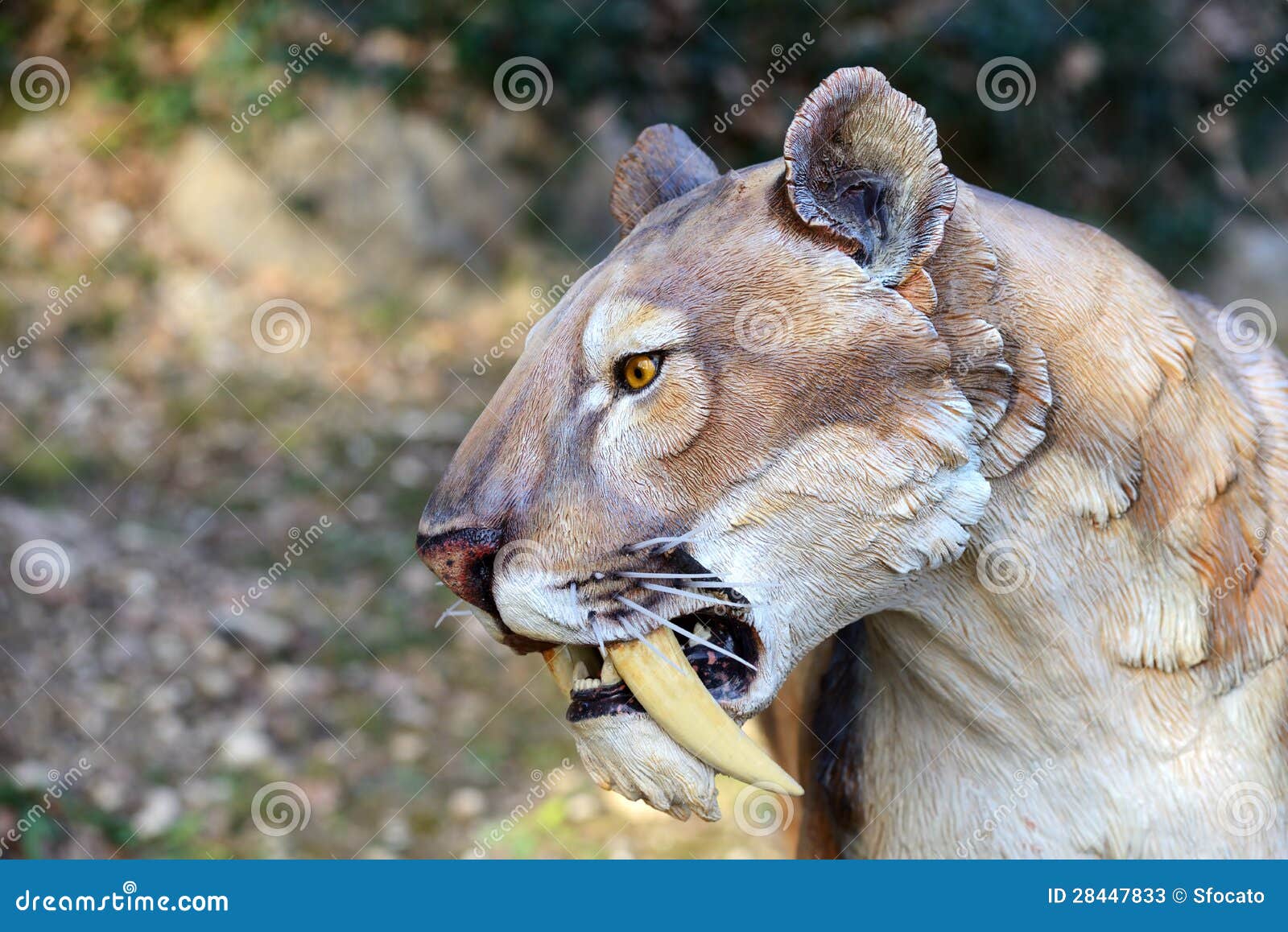 Smilodon - Säbel-Zahn-Tiger Stockbild - Bild von säbel, ära: 28447833