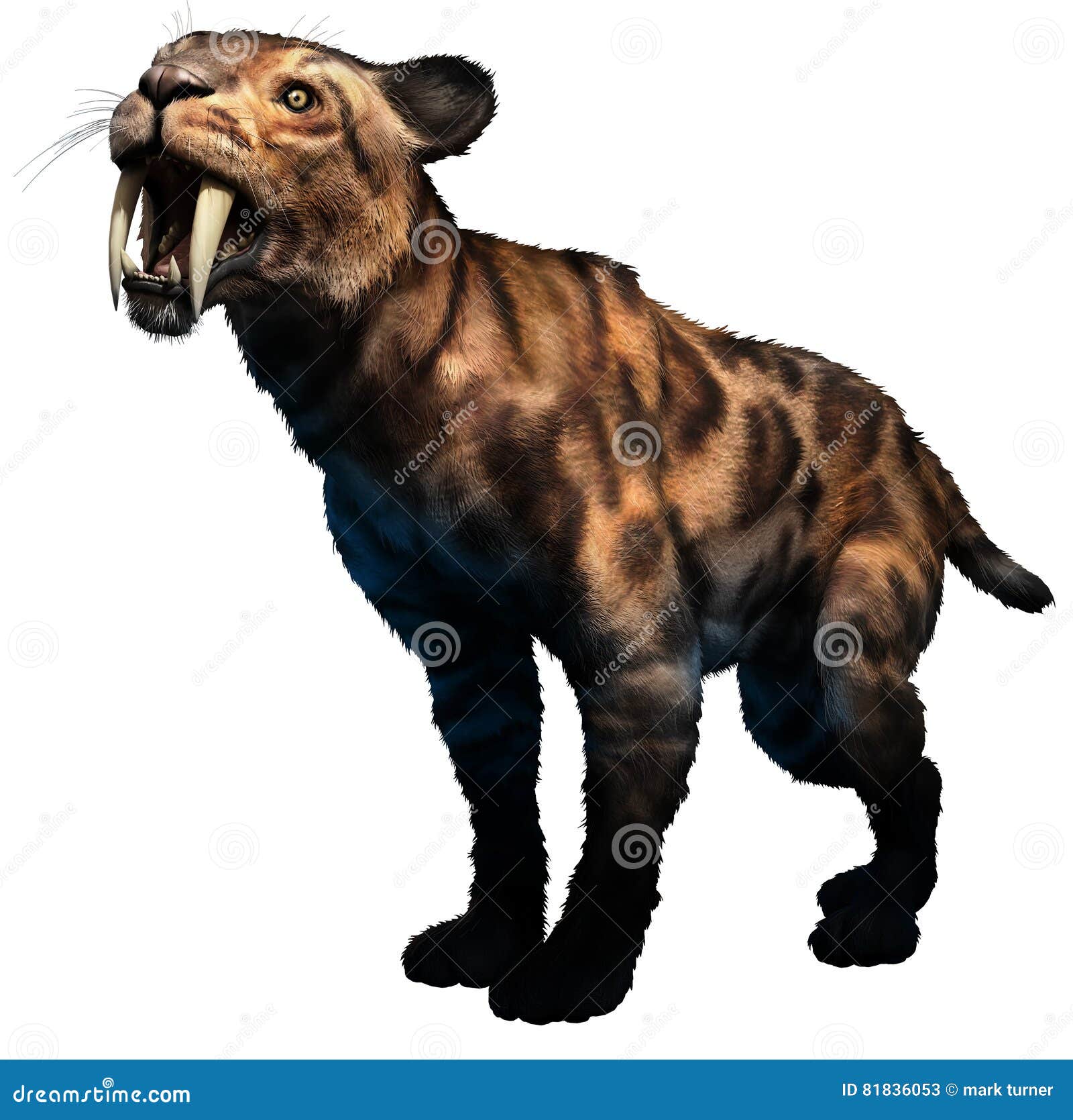 Smilodon stock illustration. Illustration of toothed - 81836053