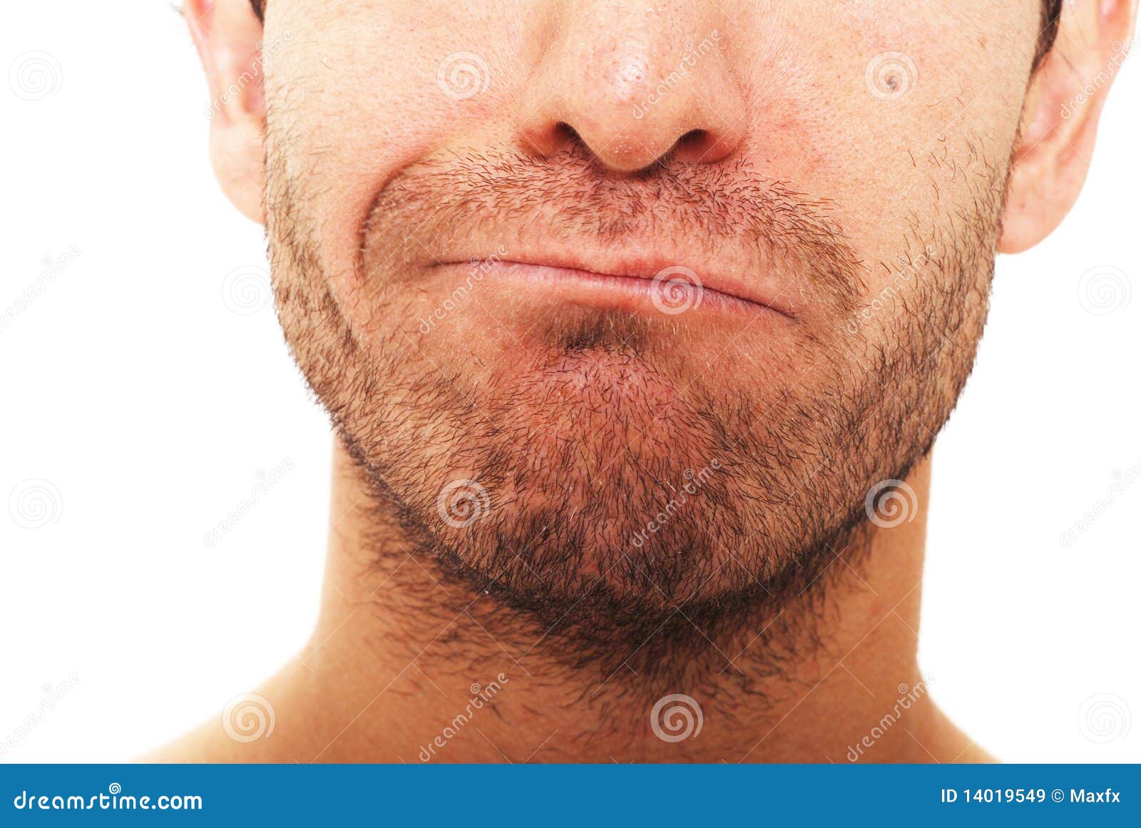 Smirk stock image. Image of hair, expression, beard, male - 14019549