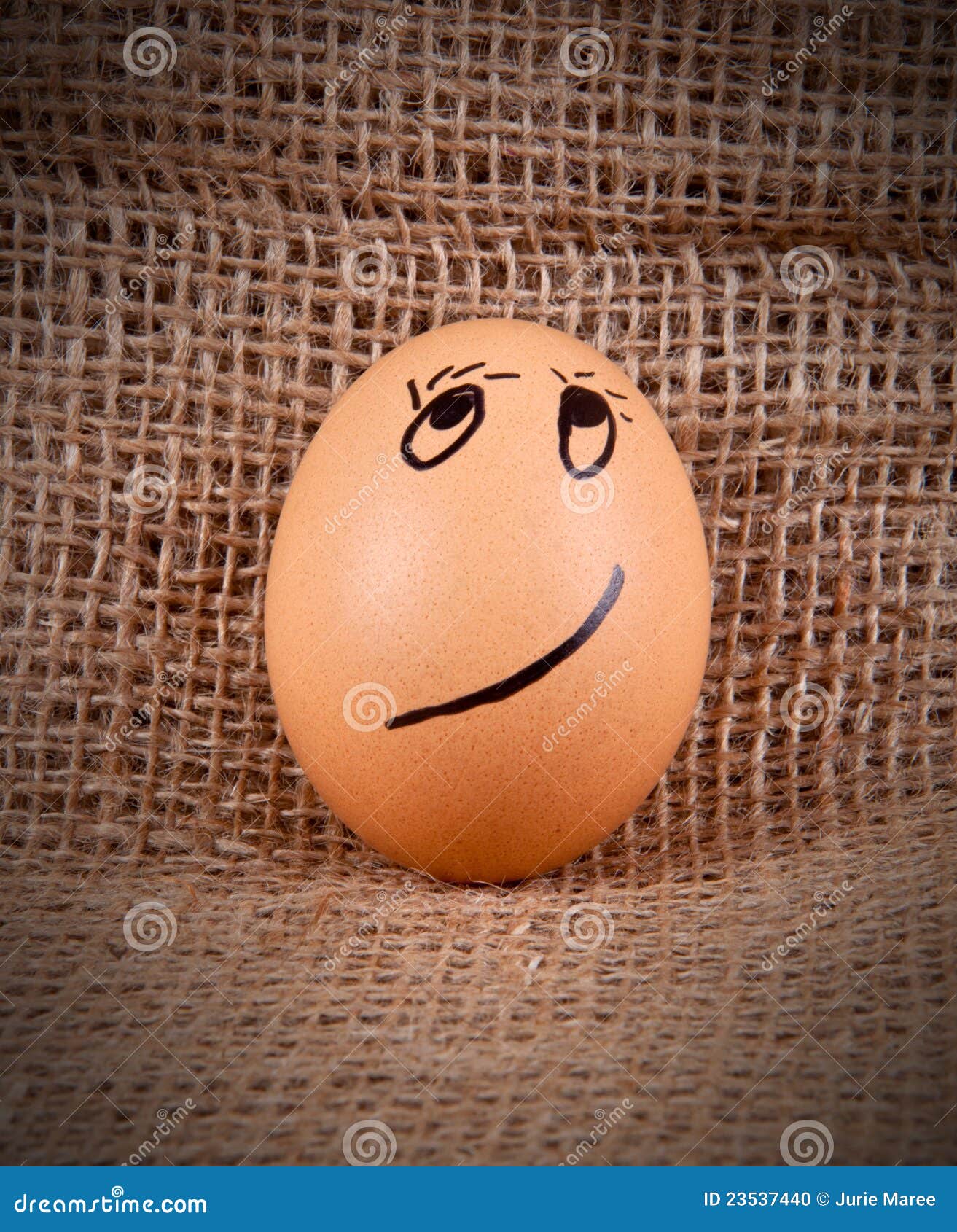 Smirky Egg. stock photo. Image of head, expression, face - 23537440