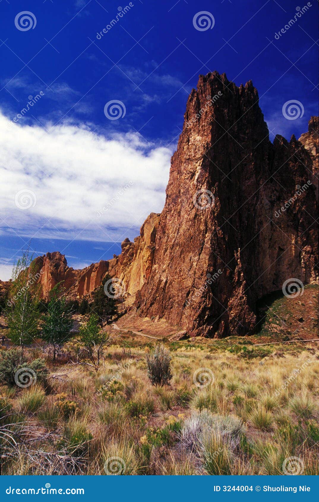 Smith Rock stock photo. Image of park, morning, high, rock - 3244004