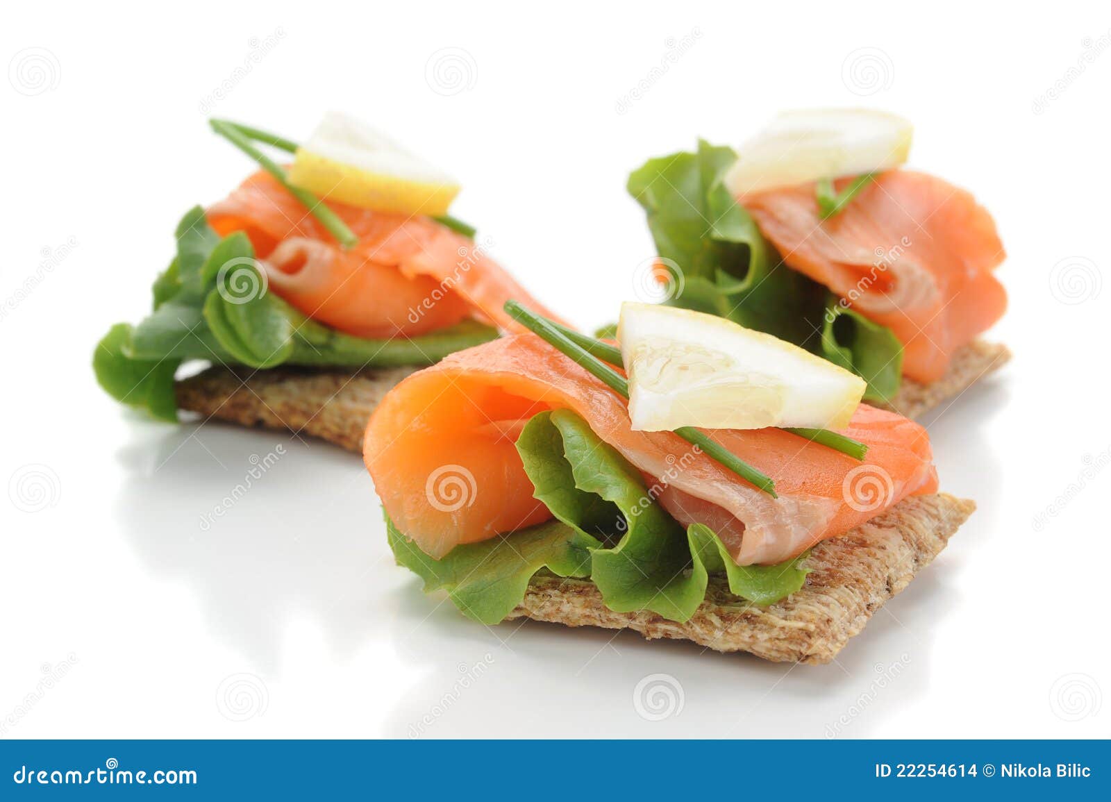 Smocked Salmon Snack stock photo. Image of salmon, closeup - 22254614