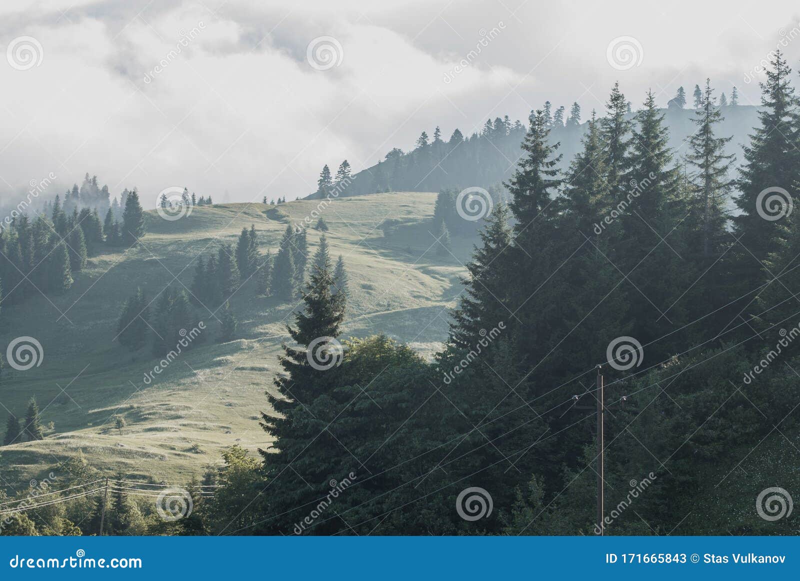 Smog in the Forest, Smoke from Forest Fires Stock Image - Image of ...