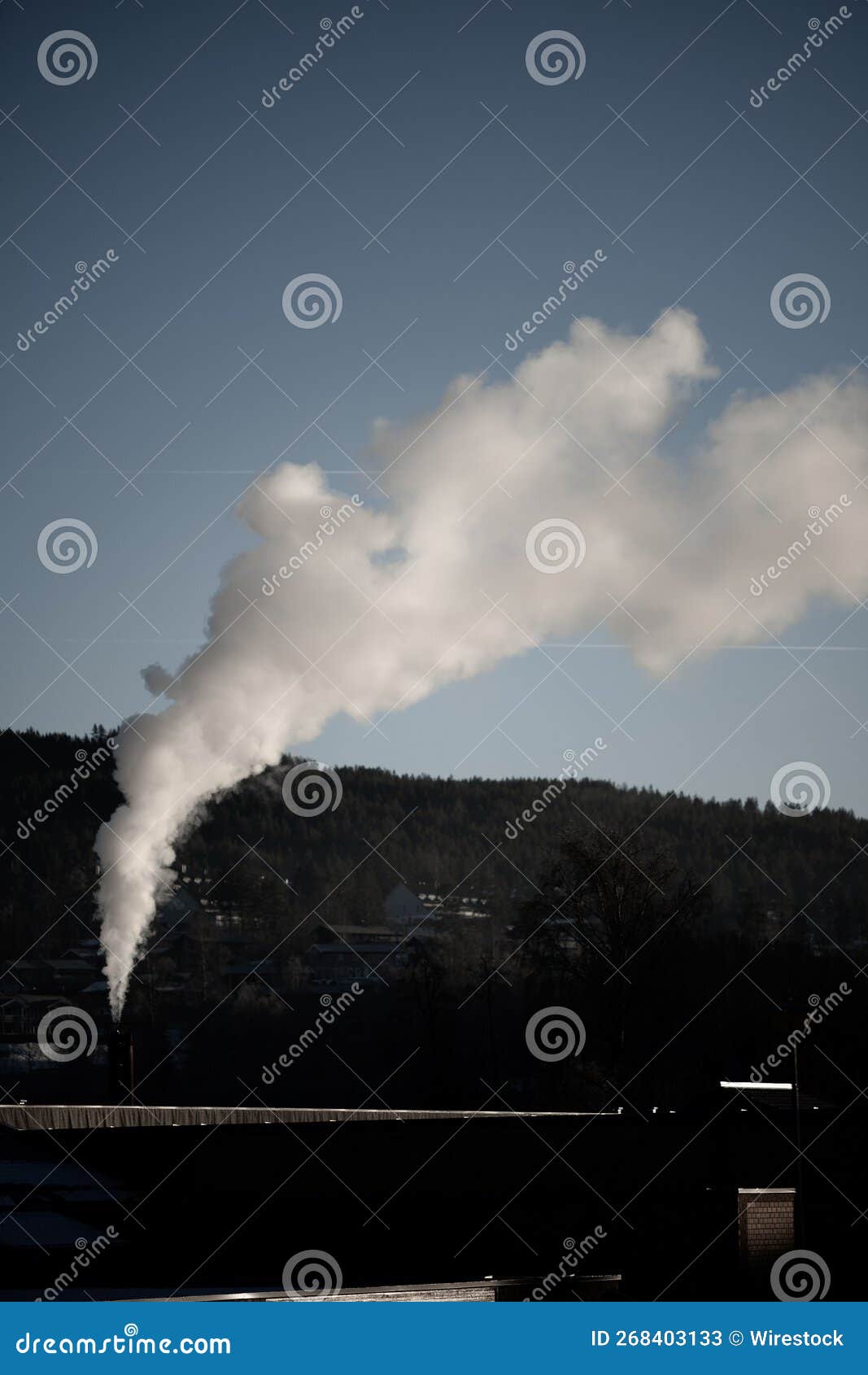 Smoke in Air Surrounded by Dense Trees Stock Image - Image of forest ...