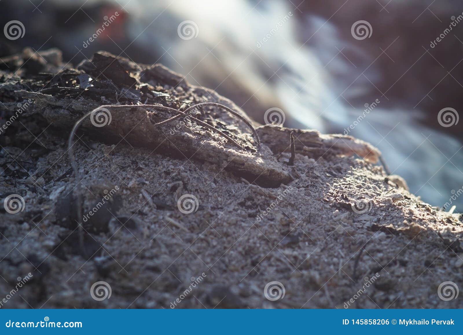 Smoke and Ashes of Bonfire Long Exposure. Close-up Macro Stock Photo ...