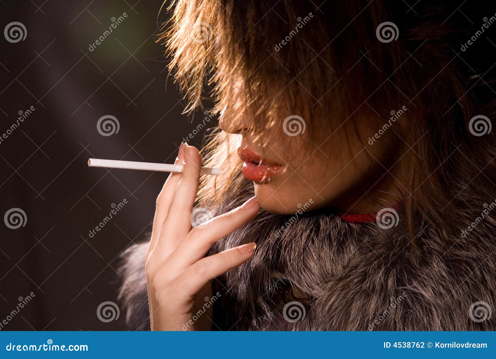 Smoke on the beauty stock photo. Image of fashion, female - 4538762