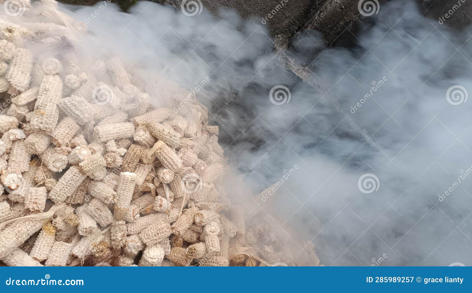 Smoke from Burning Corn Stalks Stock Image - Image of winter, freezing ...