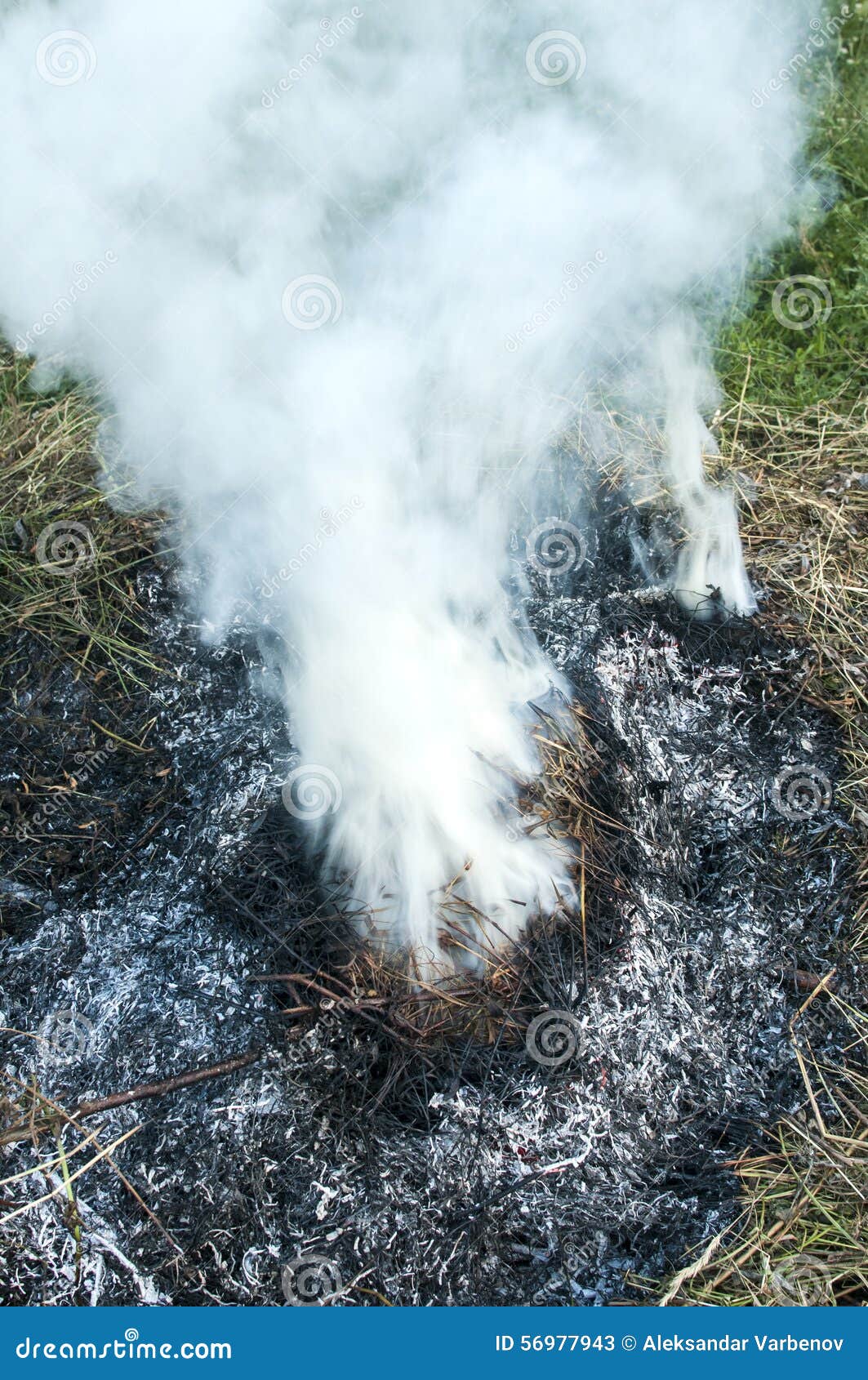Smoke from Burning Dry Grass Stock Image - Image of emergency, burn ...
